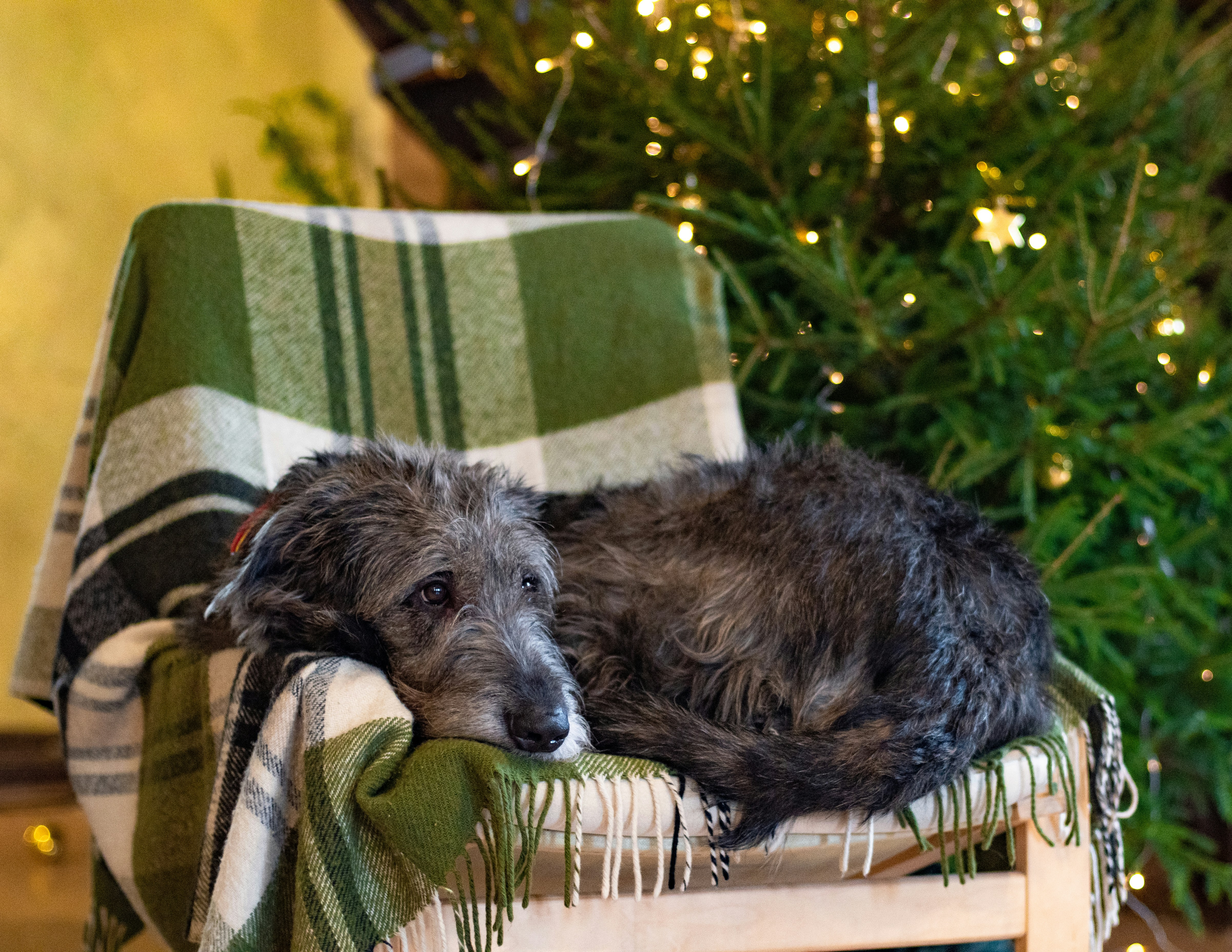 Photo by Natalia Gusakova with Nikon D500