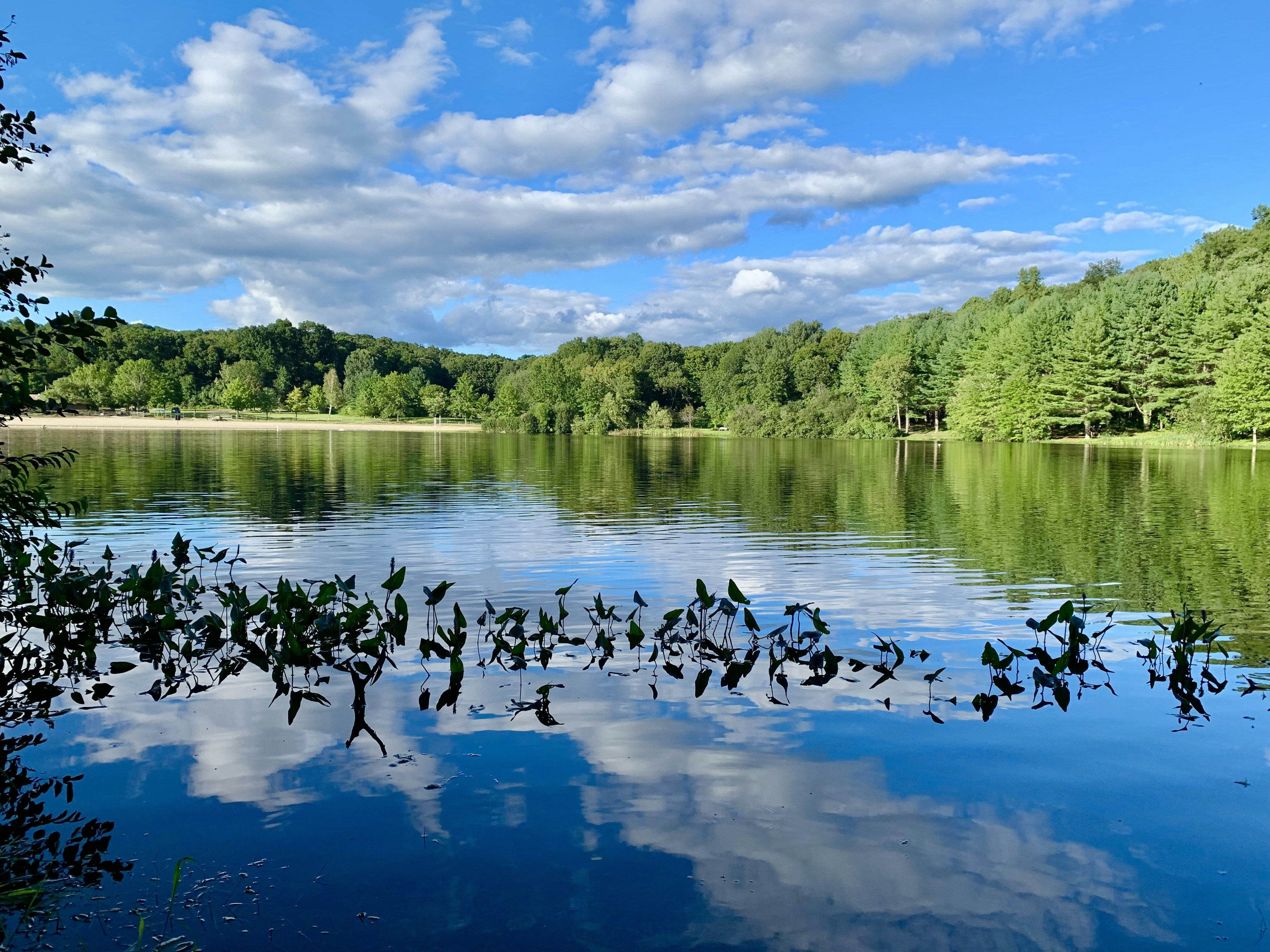 A body of water surrounded by trees and clouds photo – Free Outdoors ...