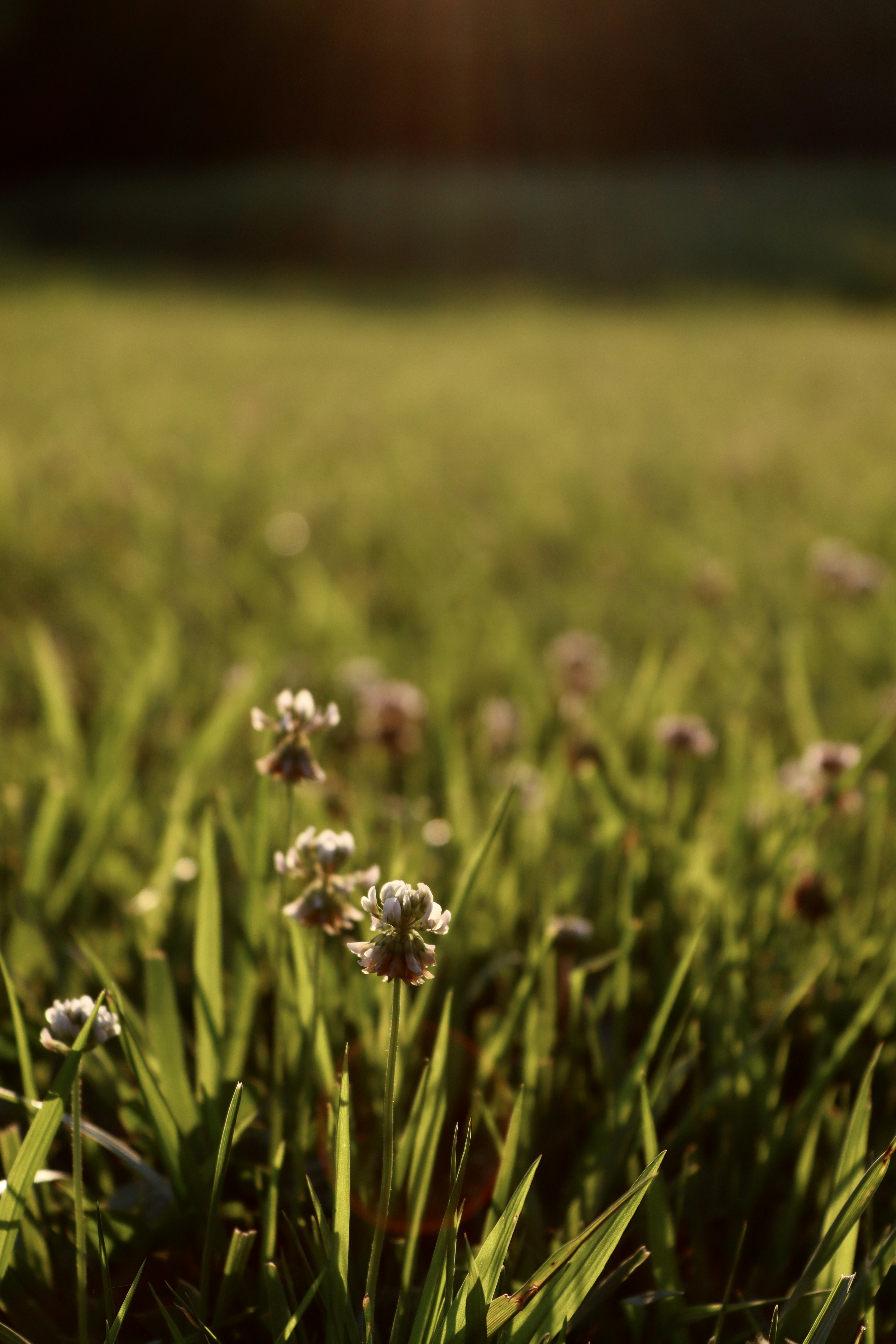 Josh M (@jmxxi) | Komunitas Foto Unsplash