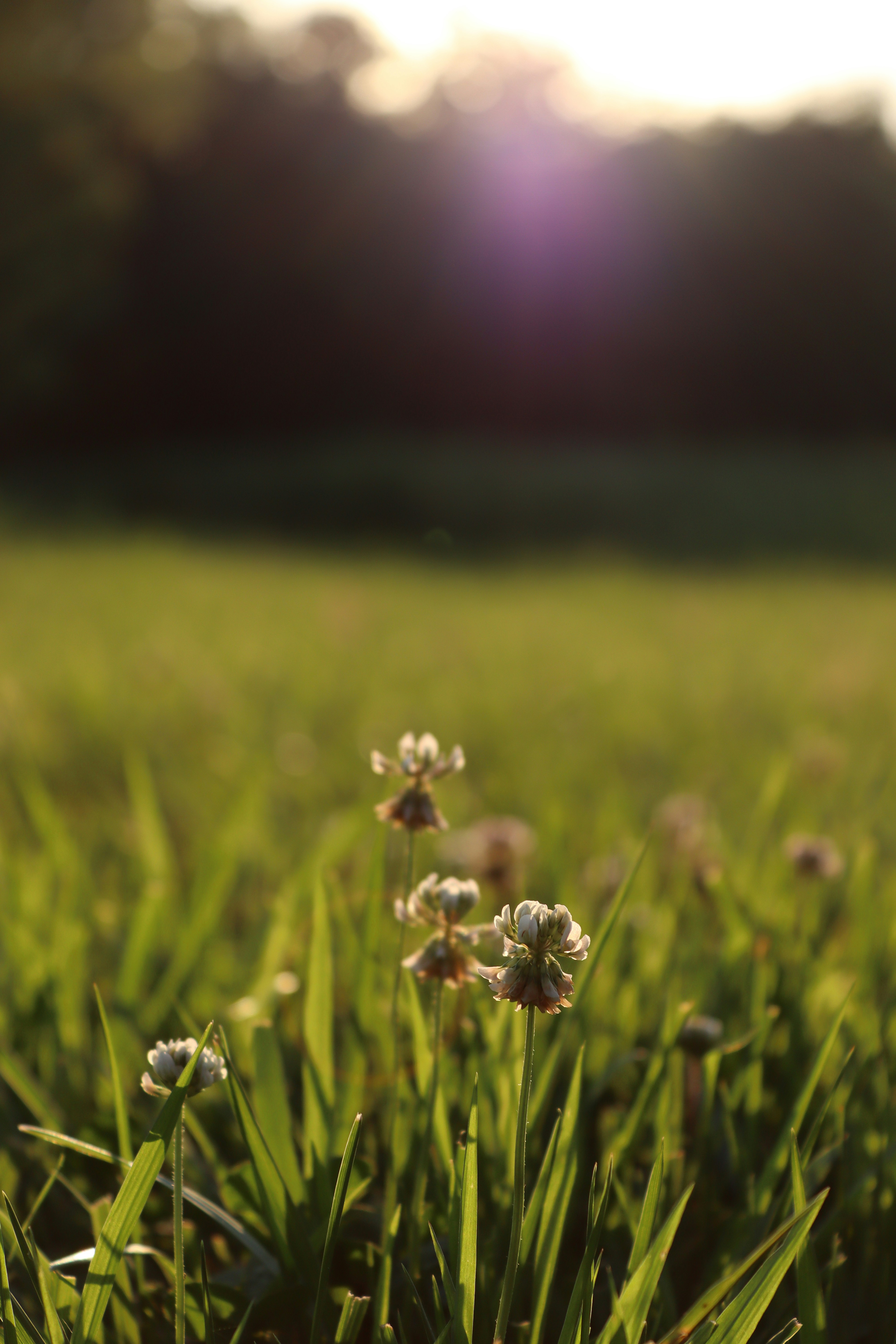 Josh M (@jmxxi) | Komunitas Foto Unsplash