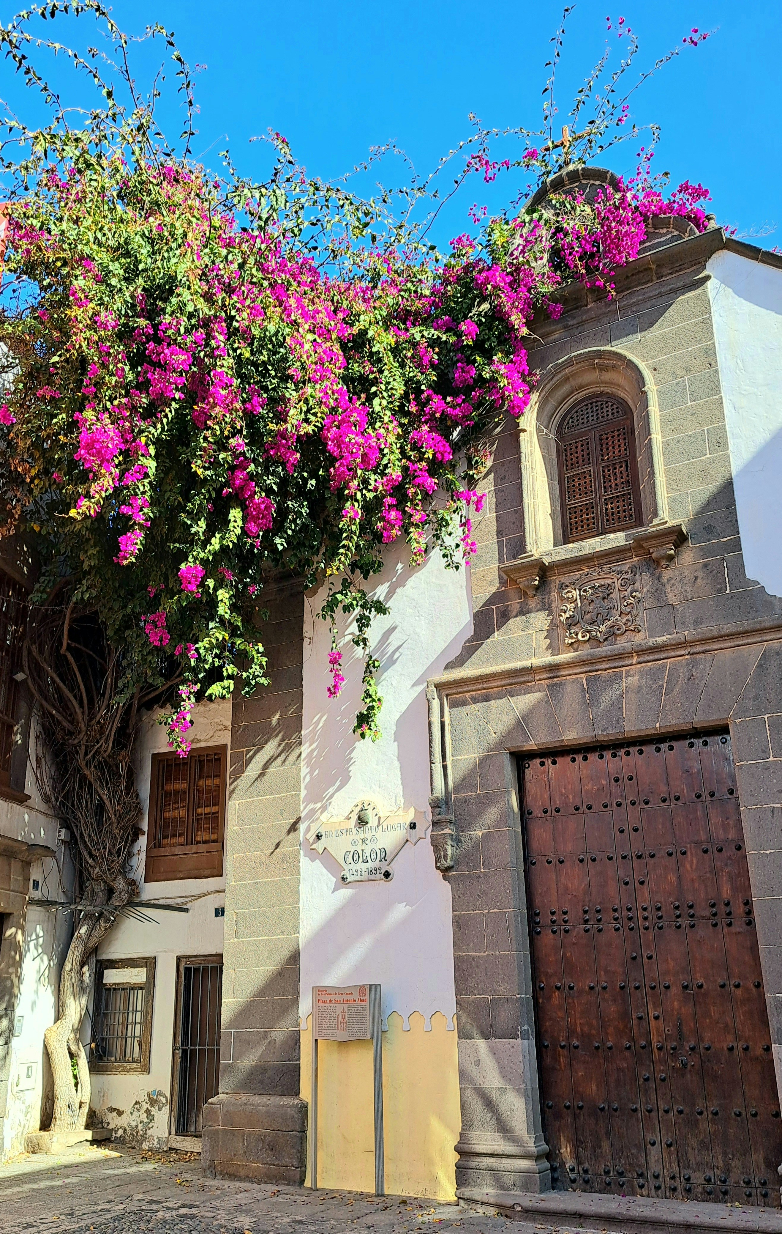Bougainvillea cascades over a historic building, contrasting with the textured stone facade and wooden door. A street sign adds a touch of local charm.