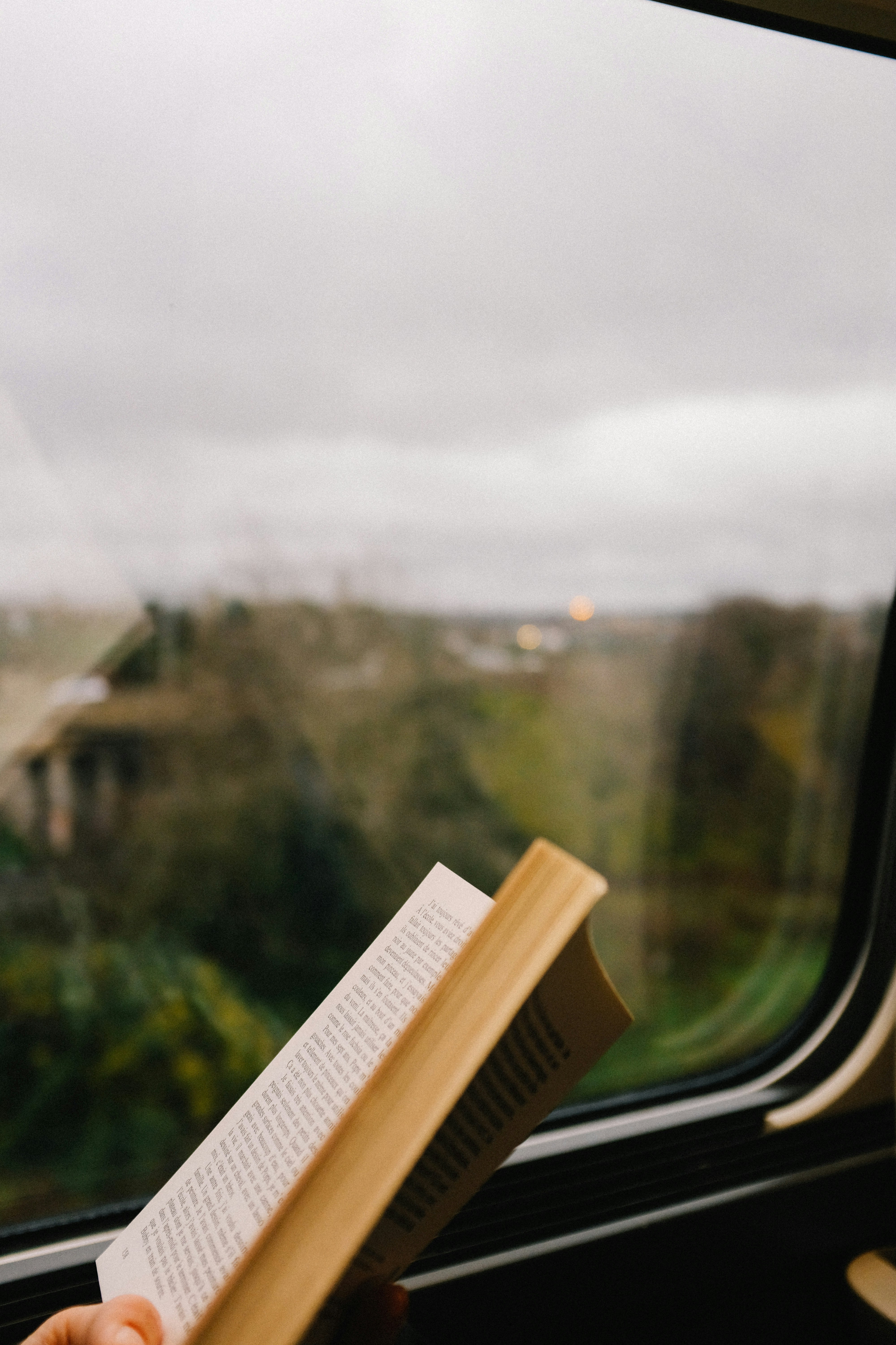 A person is reading a book on a train photo – Free Reading Image on ...