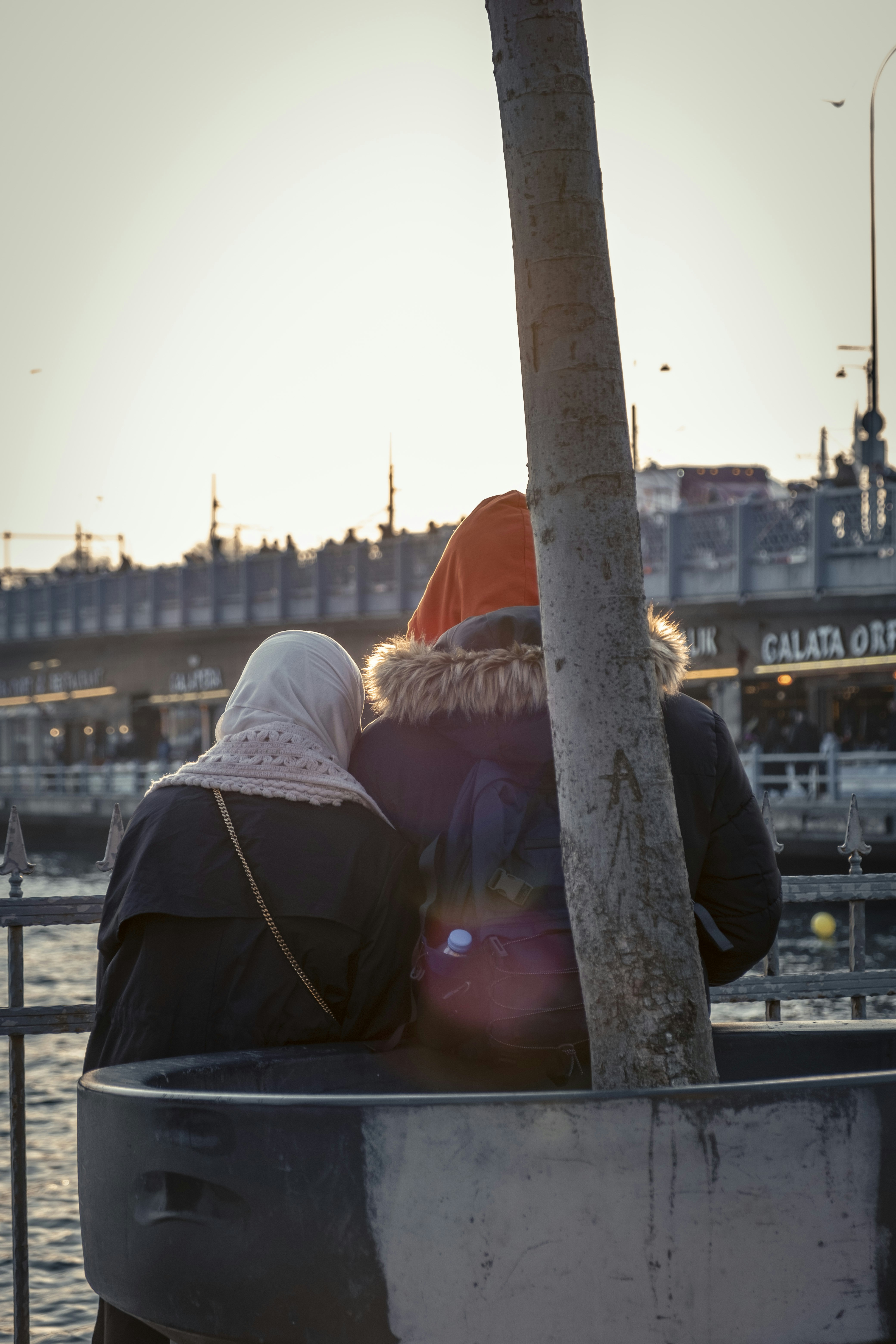 Deux personnes assises sur un banc à côté d’un arbre photo – Photo La ...