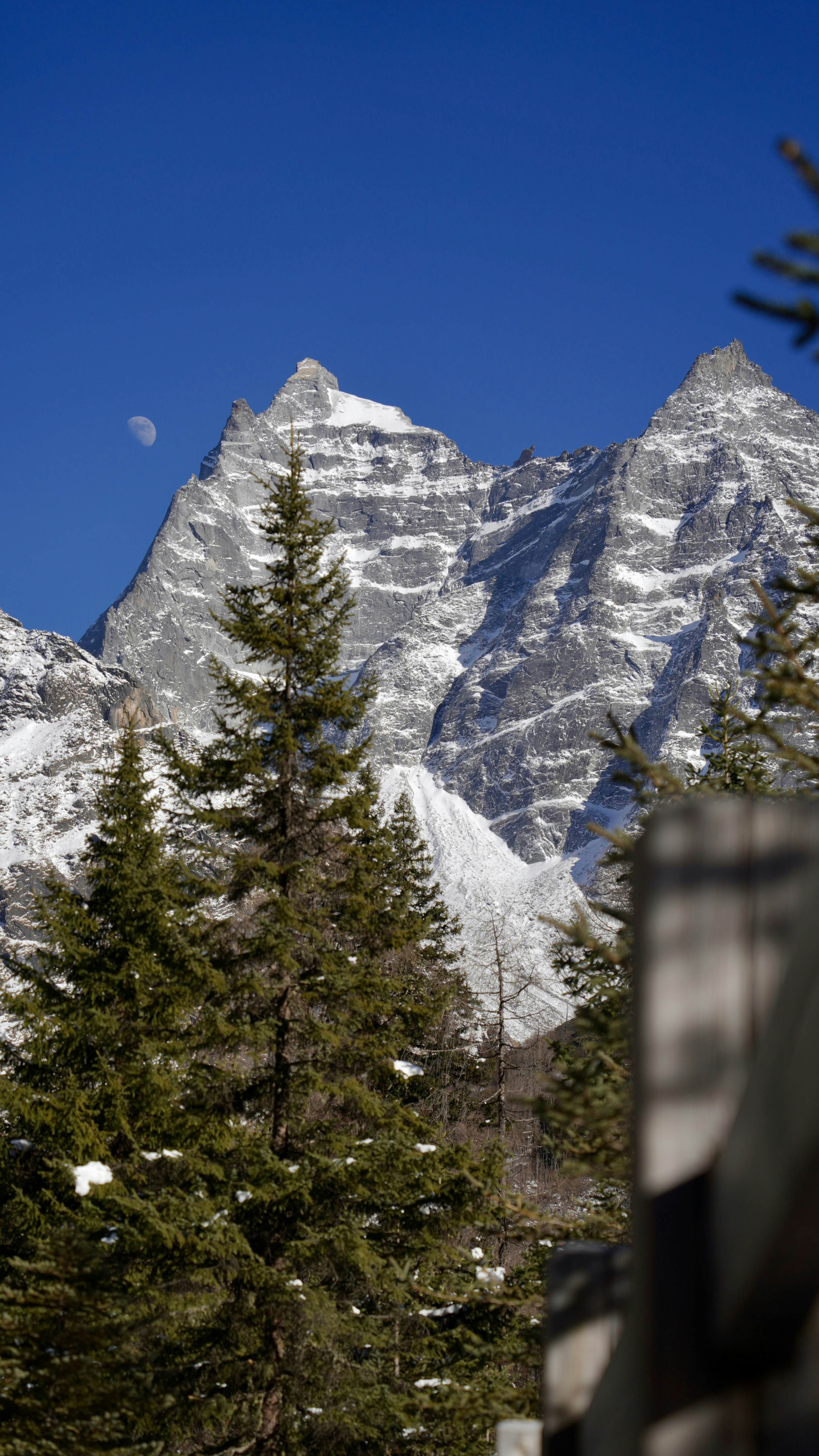 Moon over Snow-Capped Peaks Framed by Pines