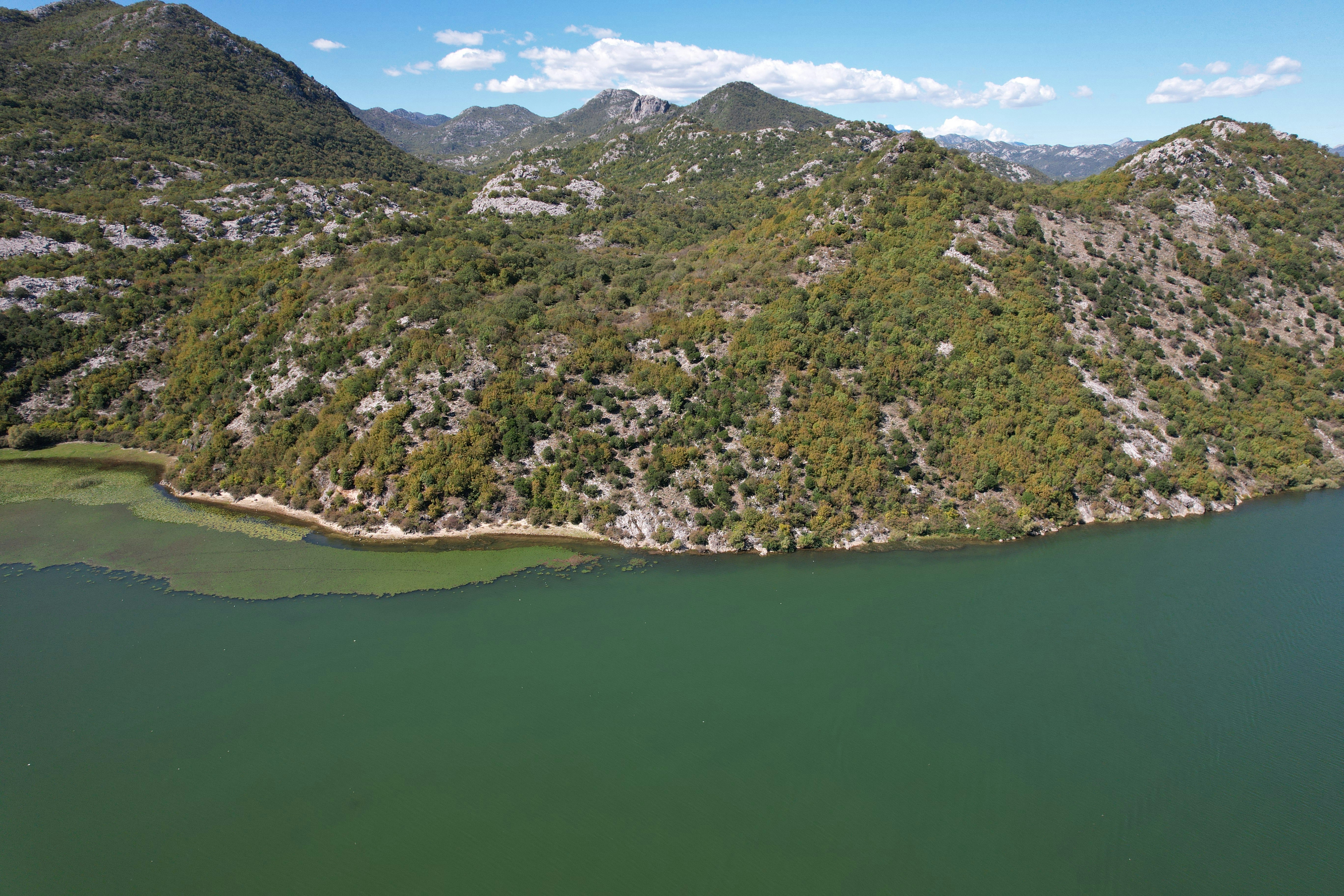 Photo by Lui with DJI Air 2S