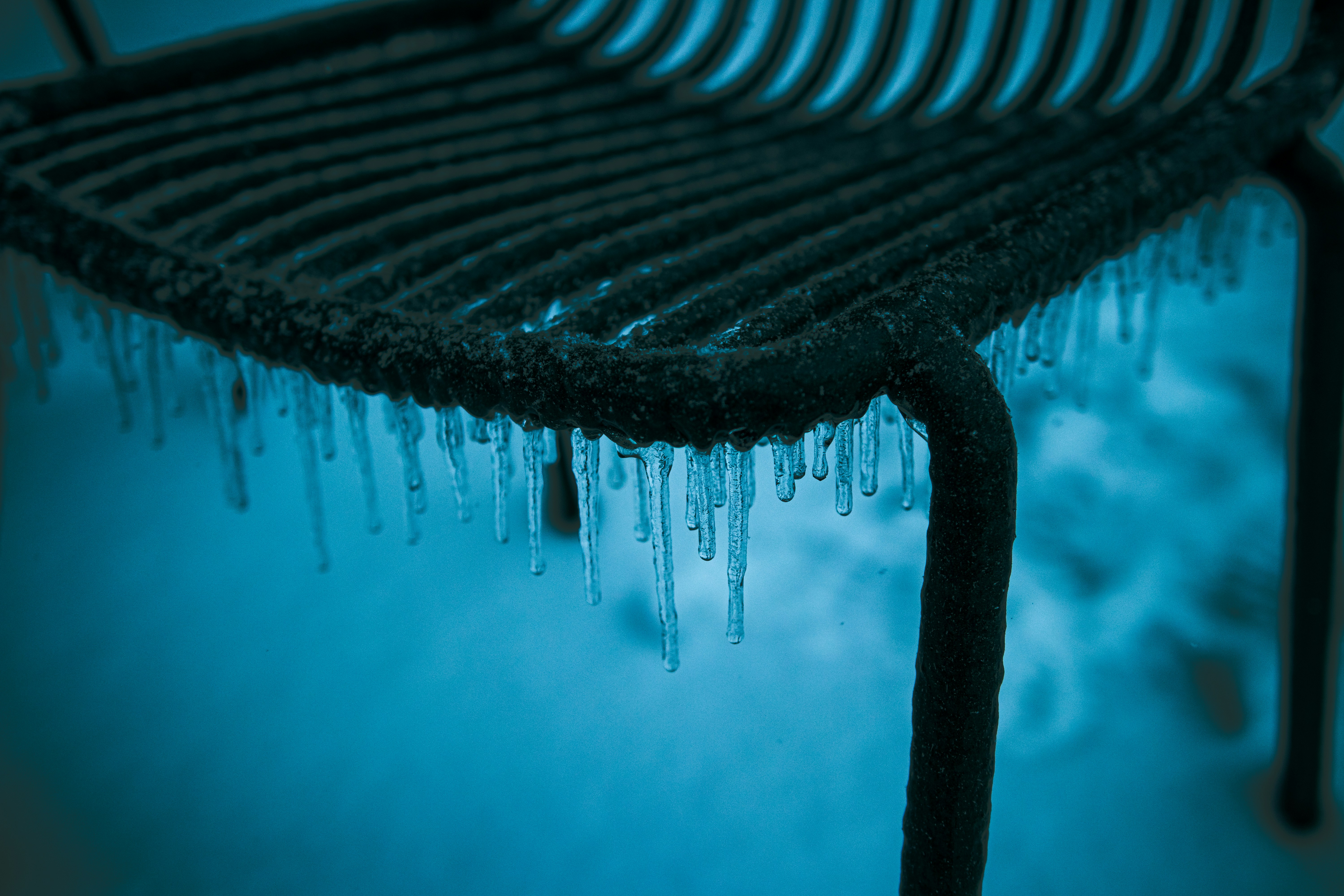Winter in the city. Frosty weather