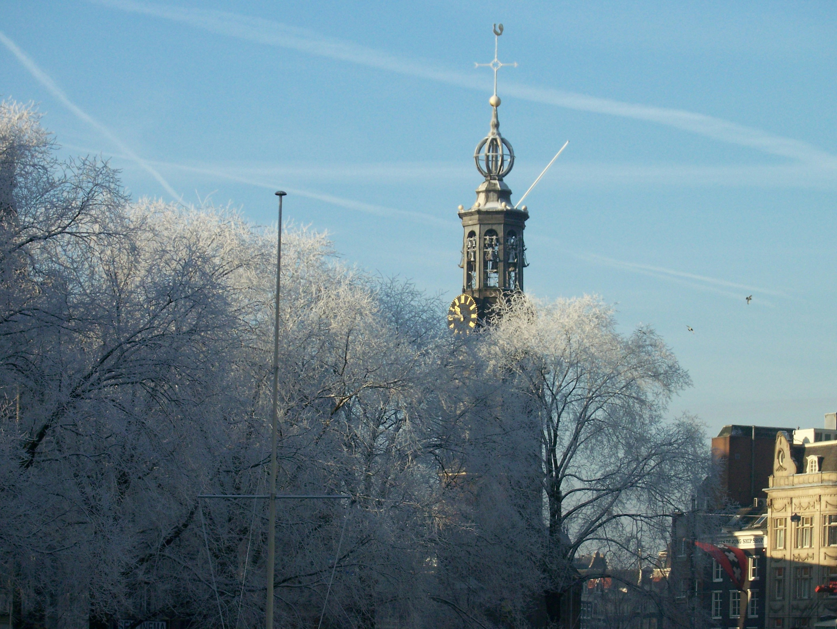 Clock Tower Silhouette Above Frosted Trees