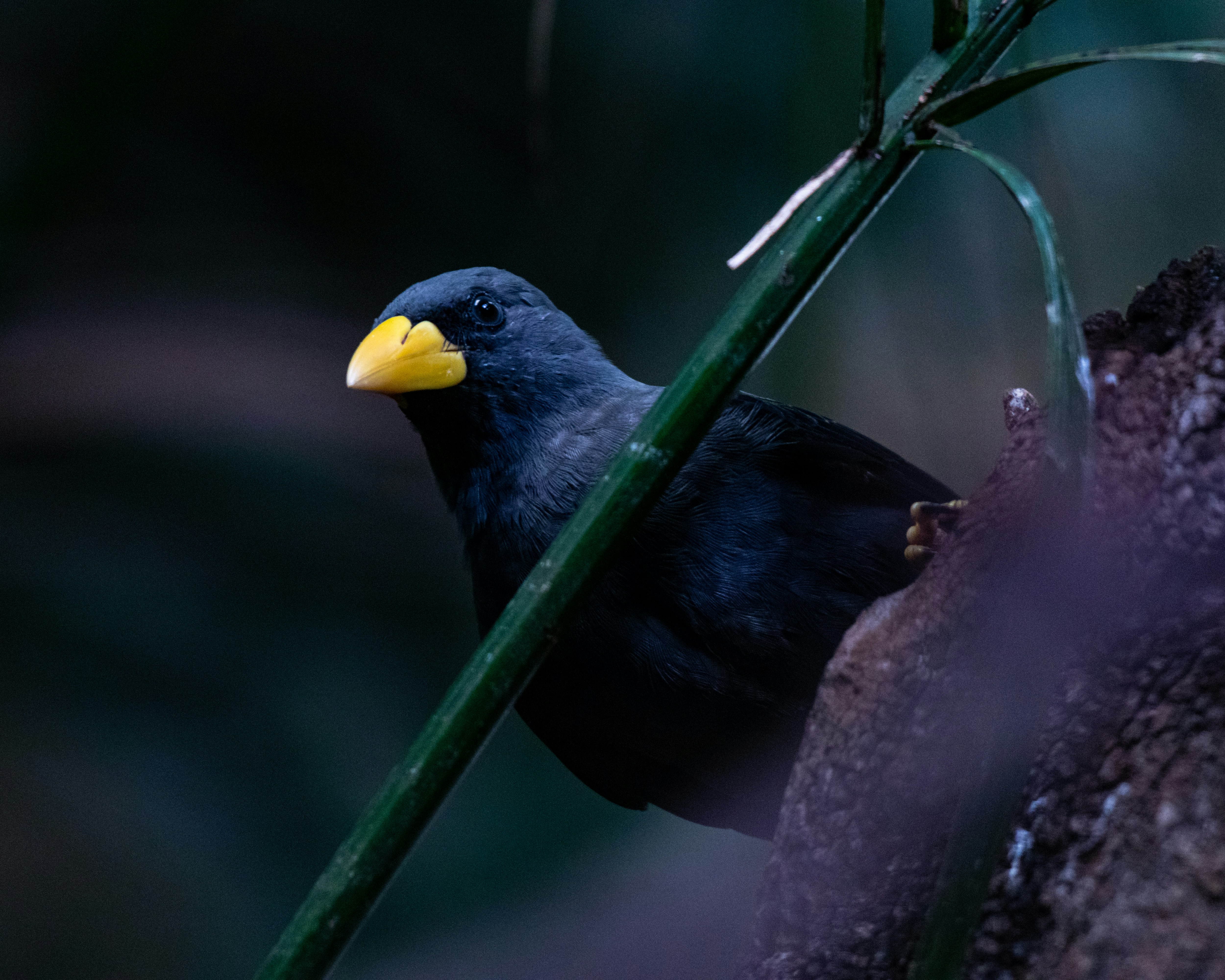 Photo by Matthieu Rochette with Canon EOS 77D