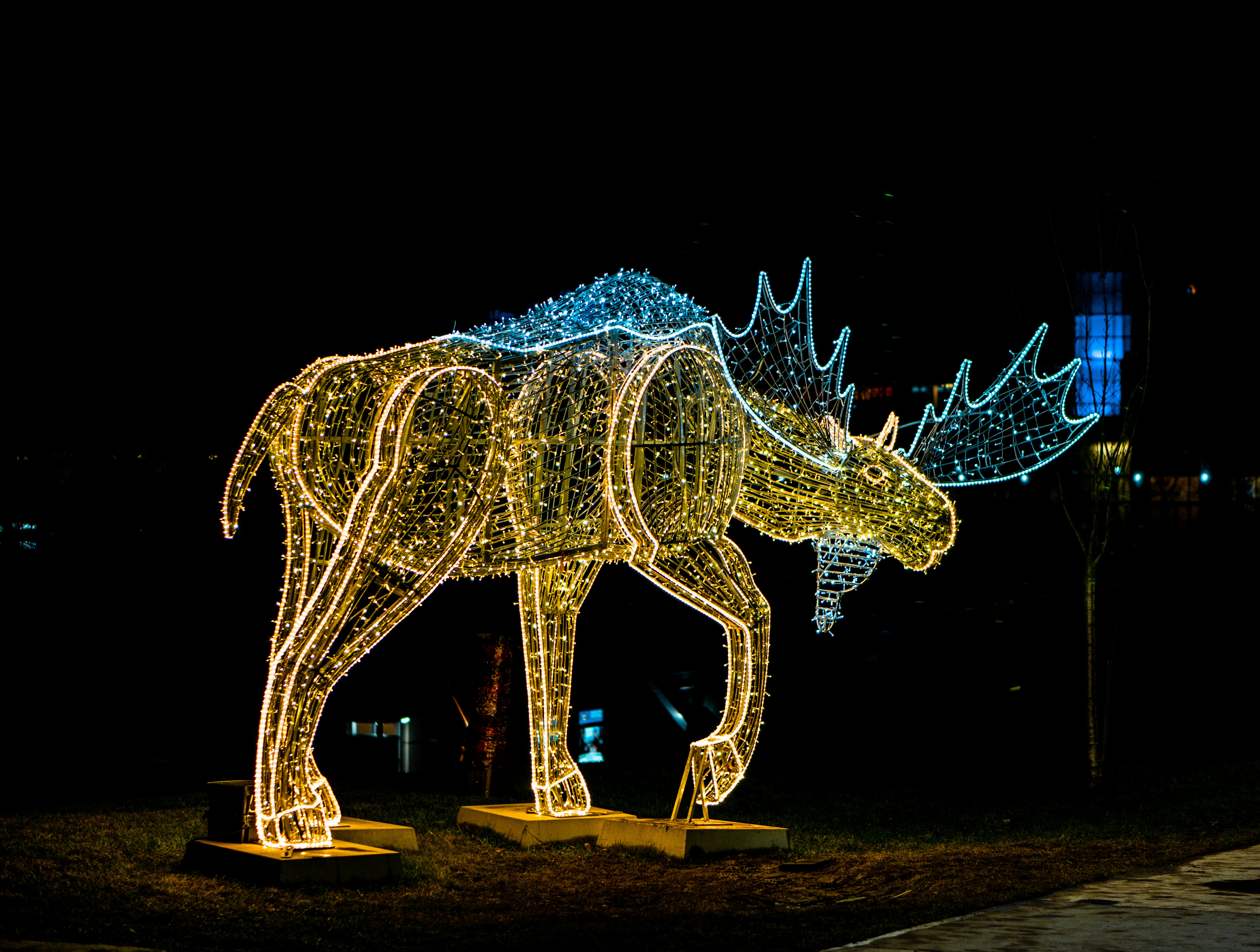 Luminous Moose: An Illuminated Night-Sculpture in the Park