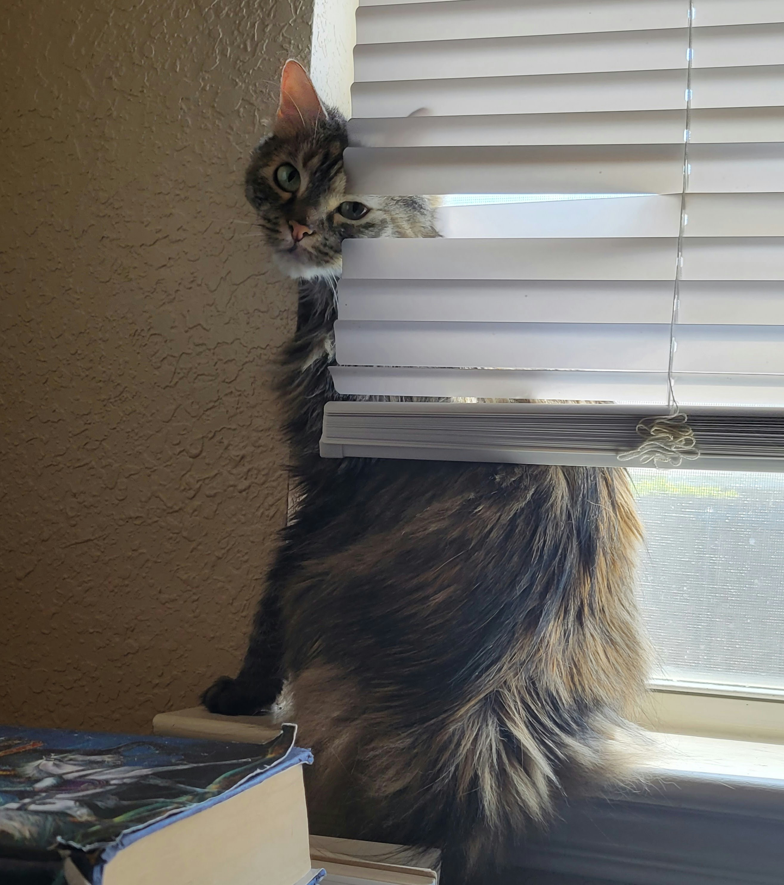 Exe-Marie Raper (@e_raper) | Communauté photos Unsplash