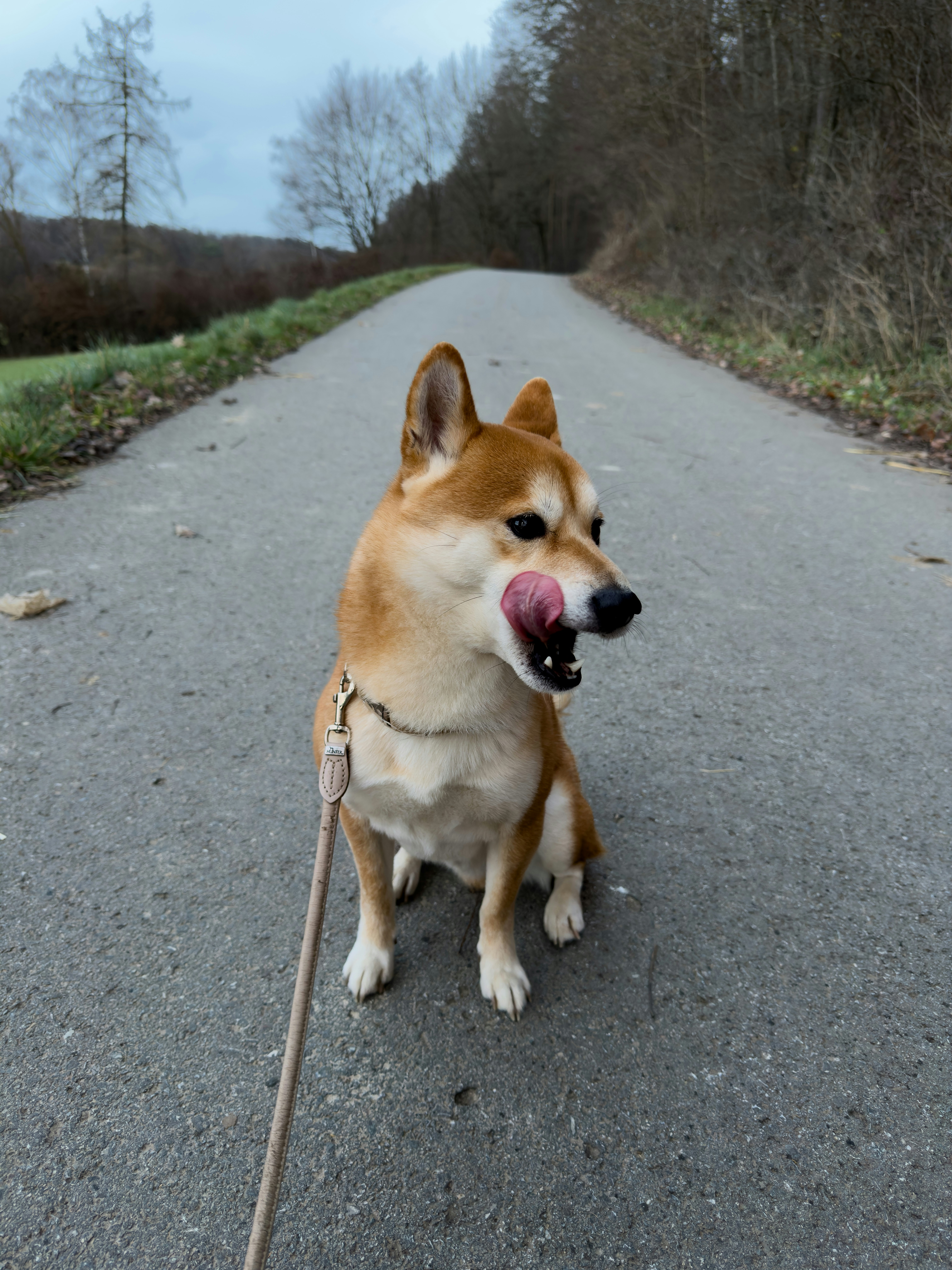 Lito Malveiro (@lito_senpai) | Unsplash Photo Community
