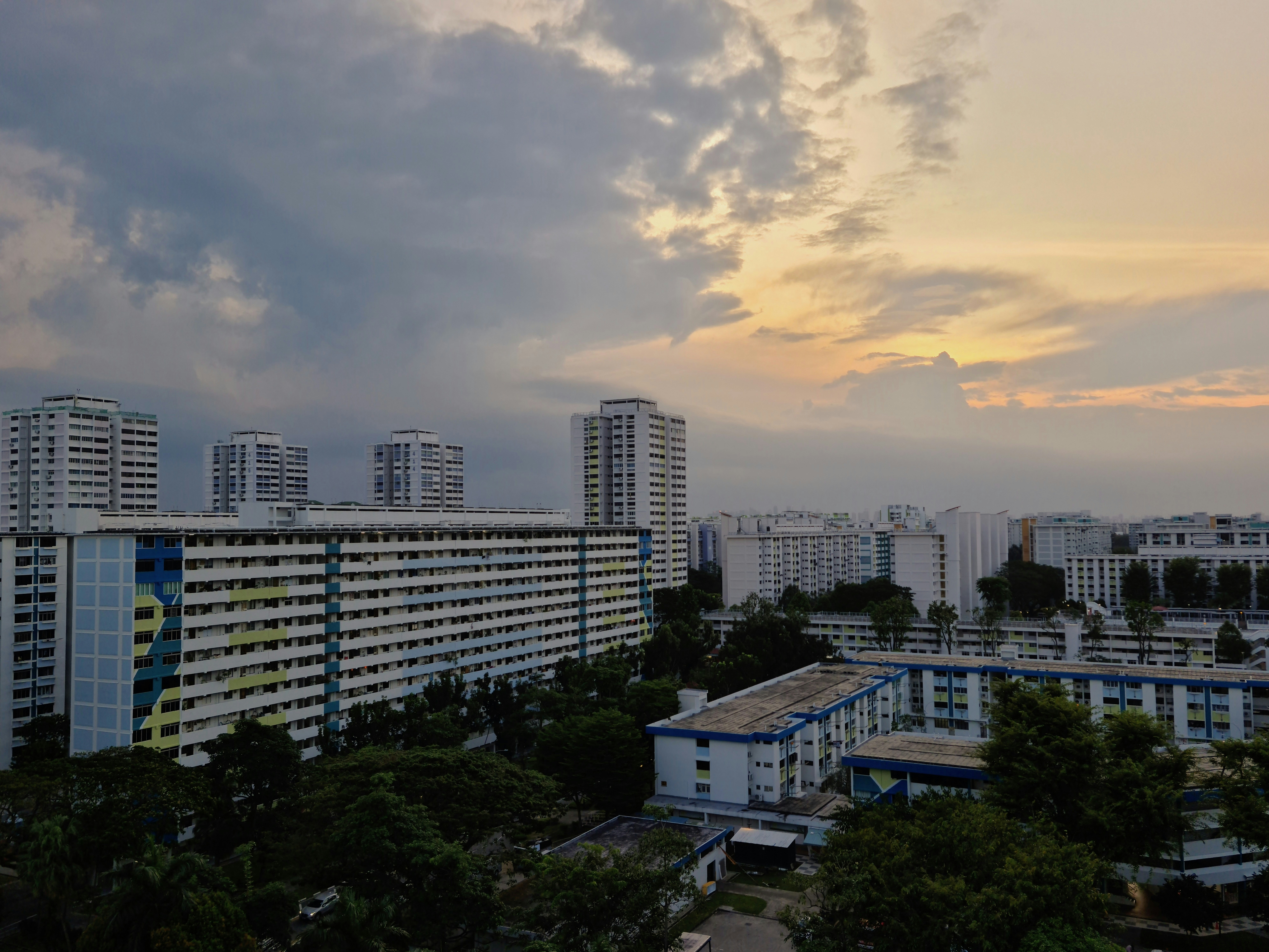 Avin Tan (@lilweirdoes) | Unsplash Photo Community