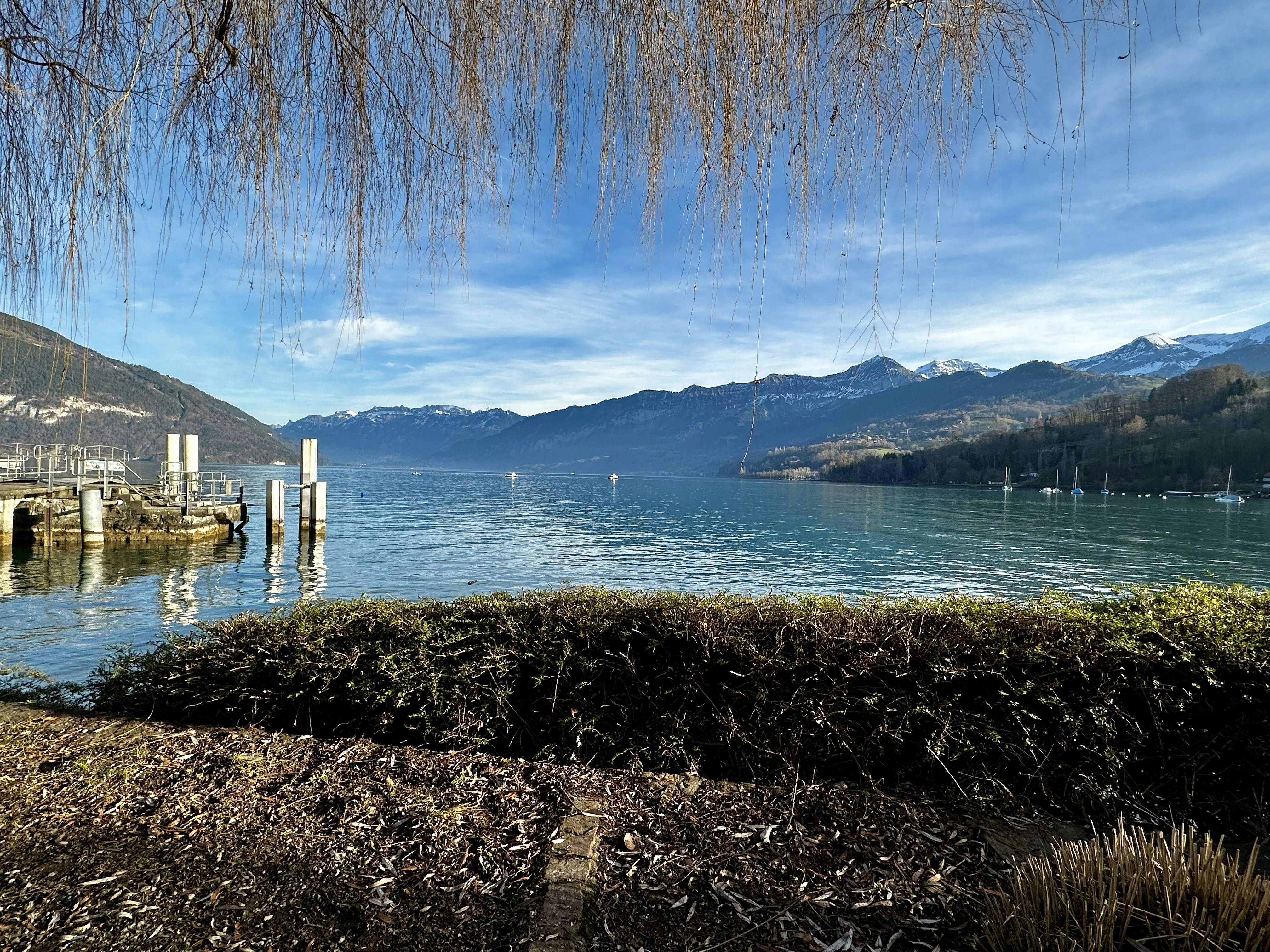 Serenity by the Waterside: A Tranquil Retreat