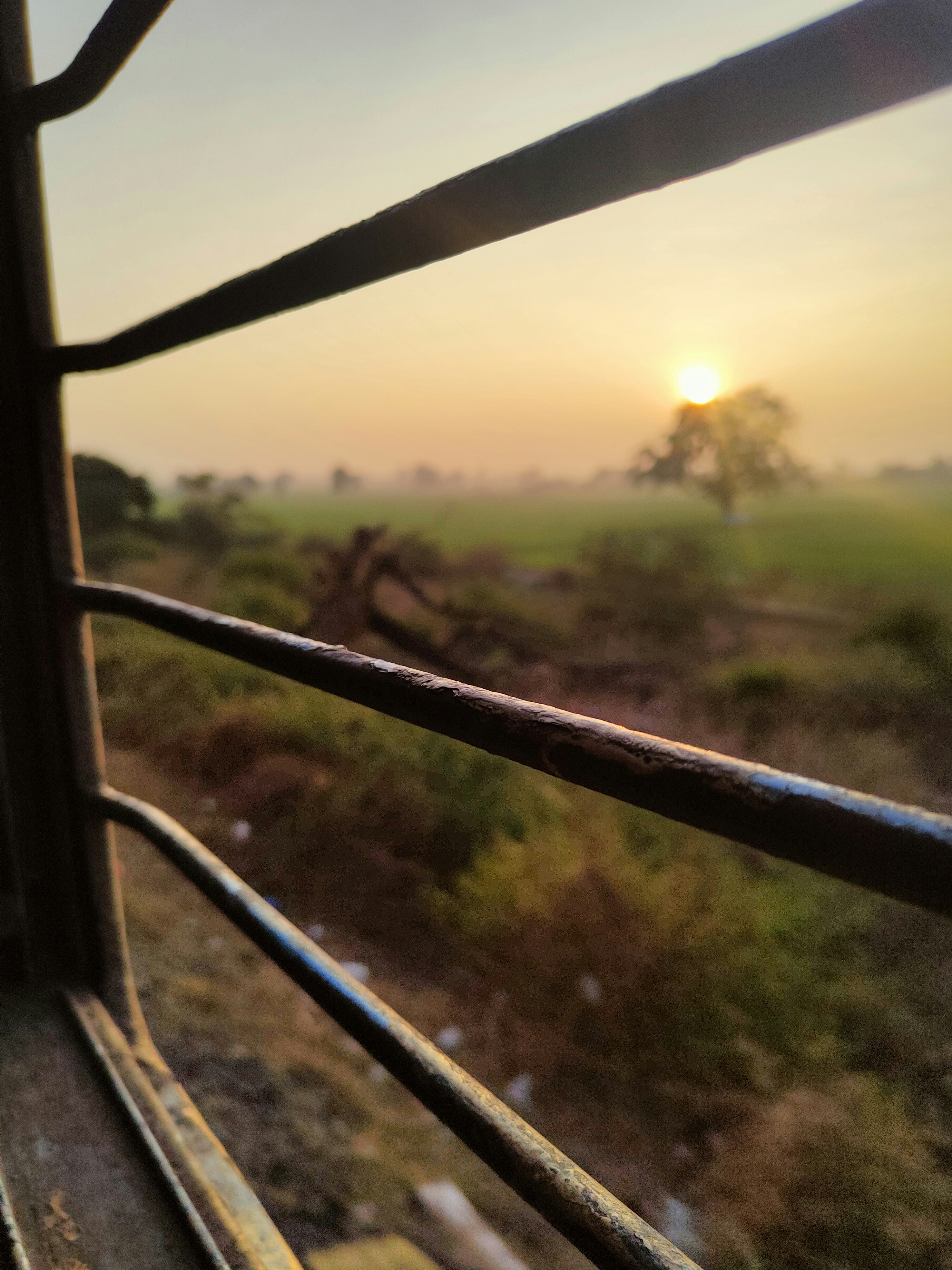 Dawn Through Iron Bars: A Quiet Landscape