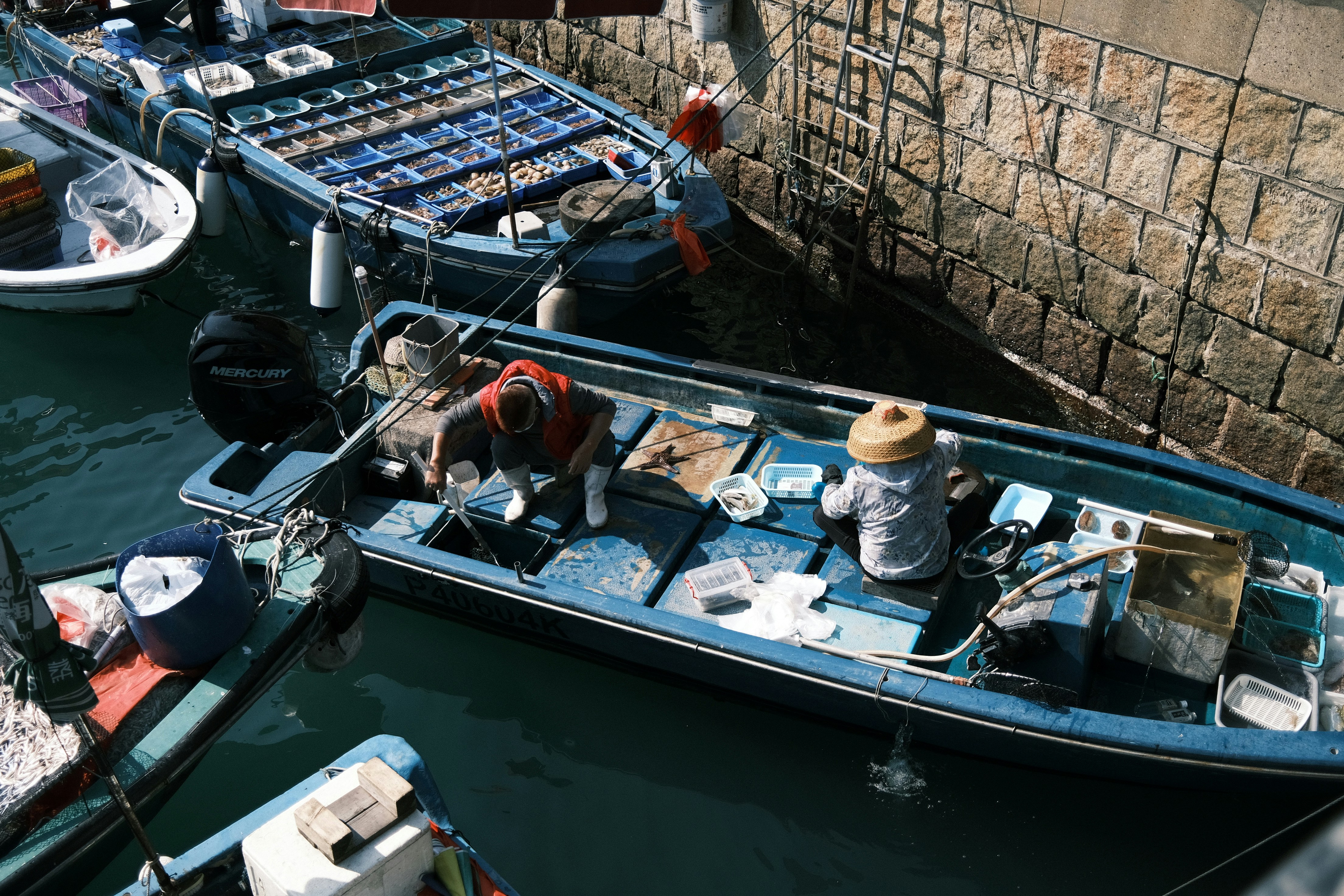 Harbor Life: A Glimpse into Daily Maritime Routine
