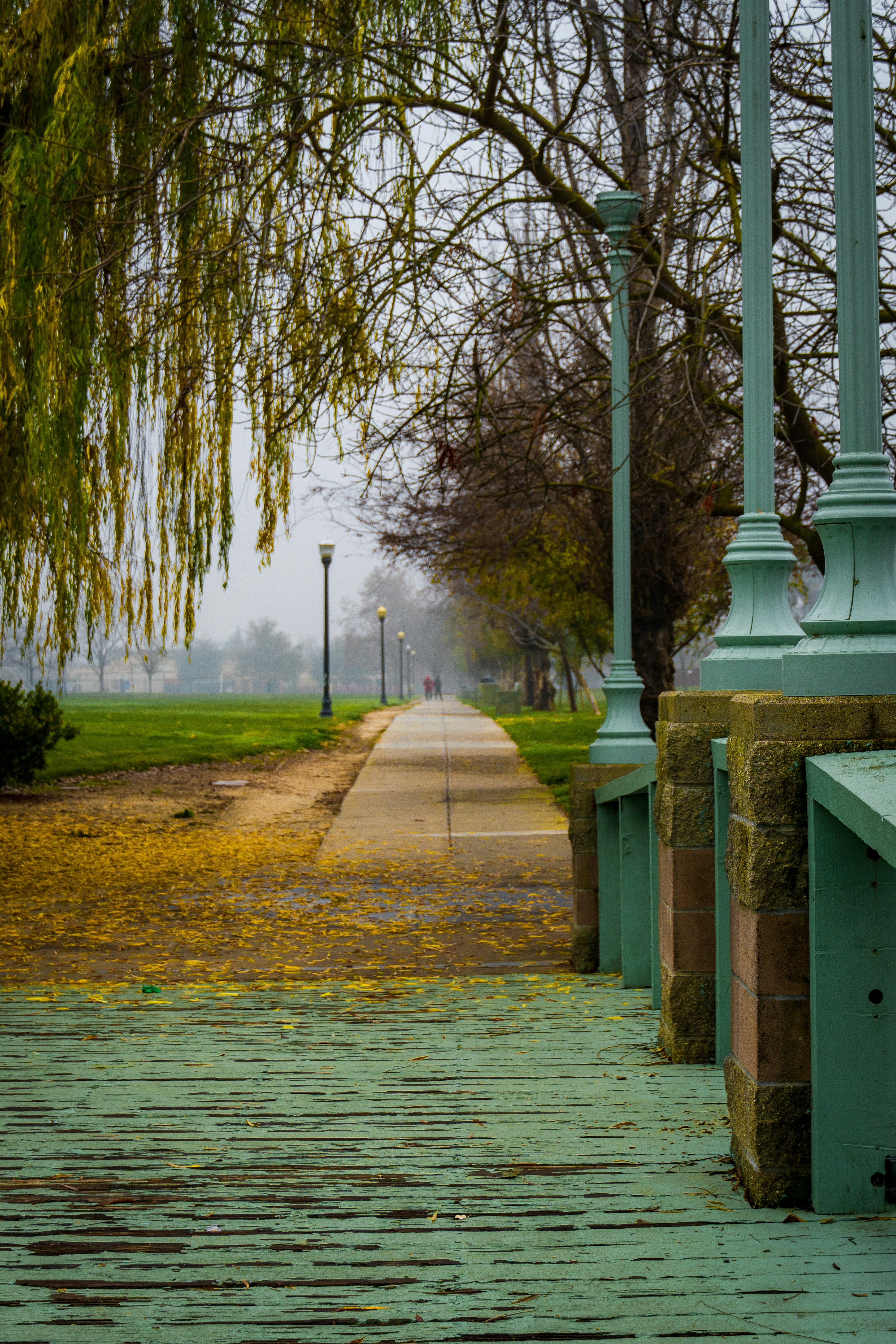 a bench sitting on the side of a road next to a tree
