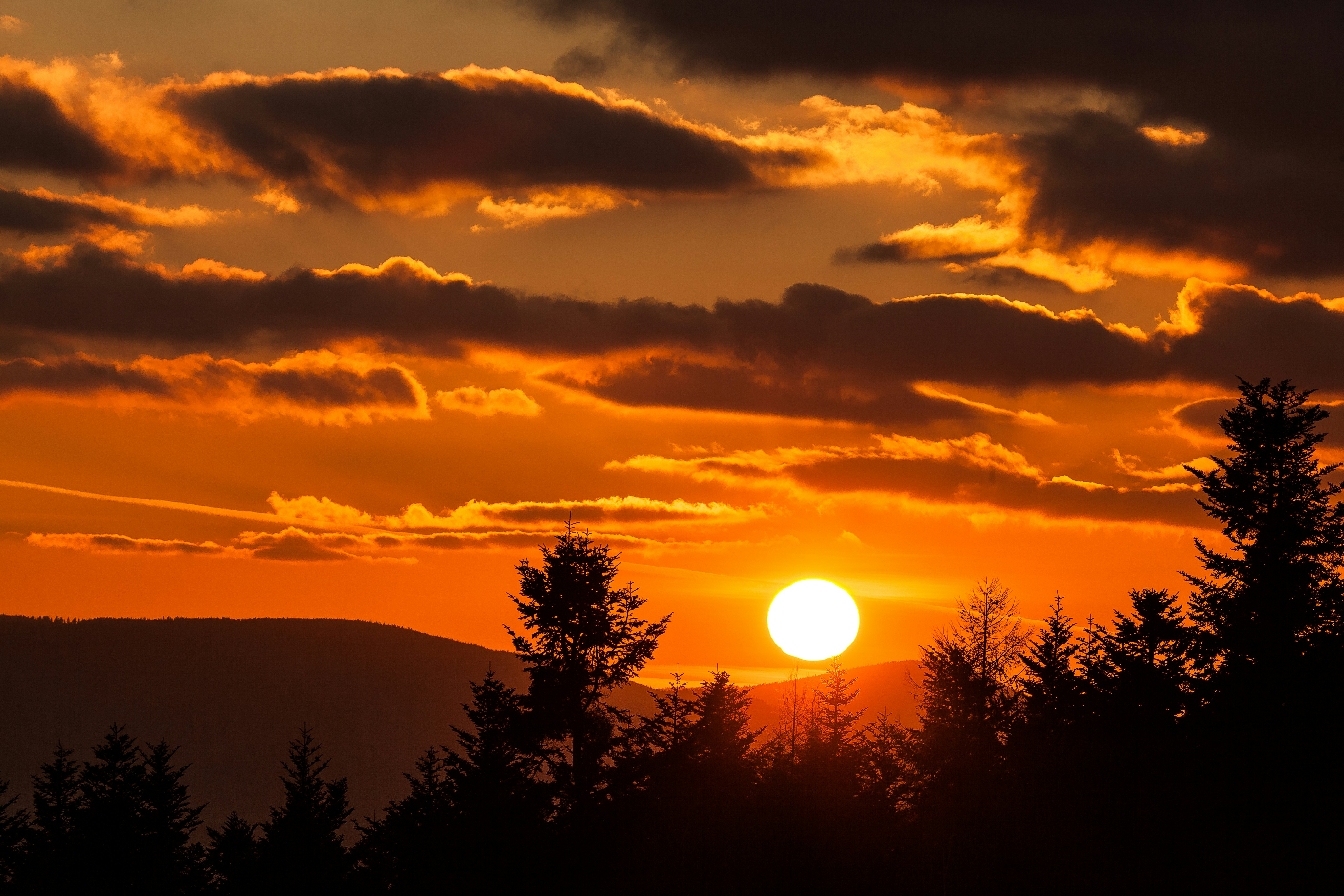 The sun is setting over the mountains and trees photo – Free Nature ...