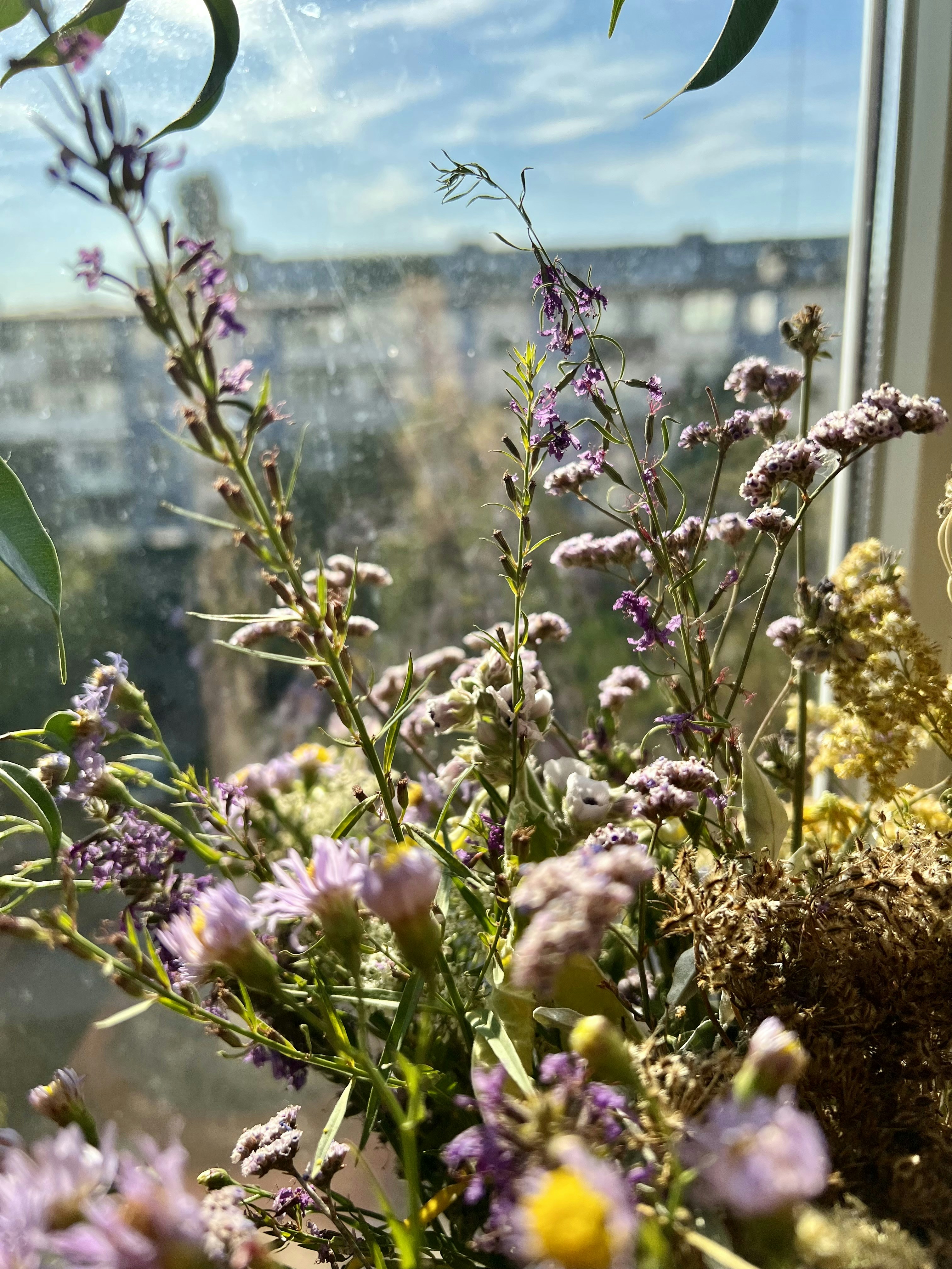 Window Garden in Sunlit Blooms