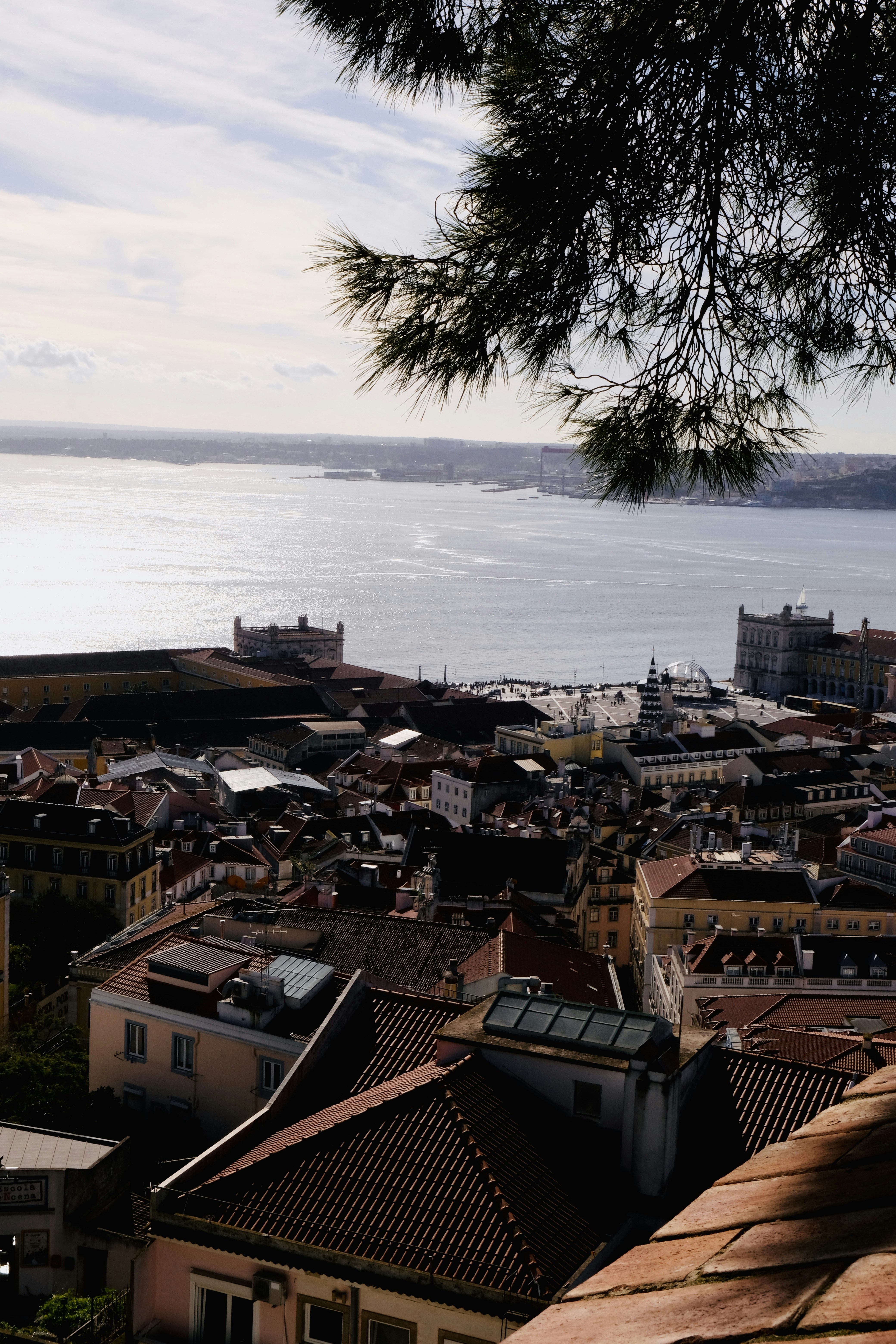 Rooftop Labyrinth Overlooking the Sea: A Sunlit Cityscape Framed by Branches