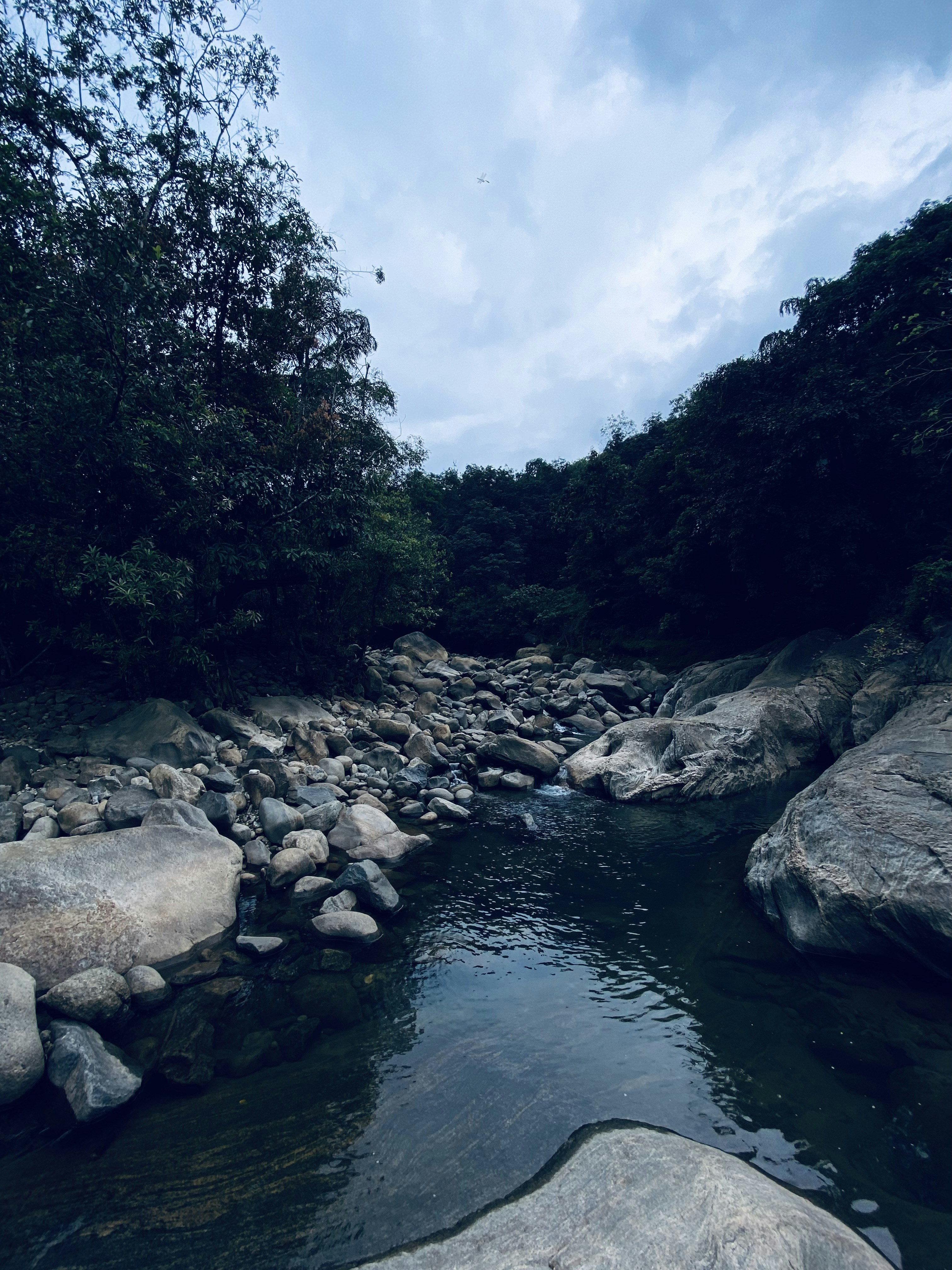 Riverbed Between Quiet Giants