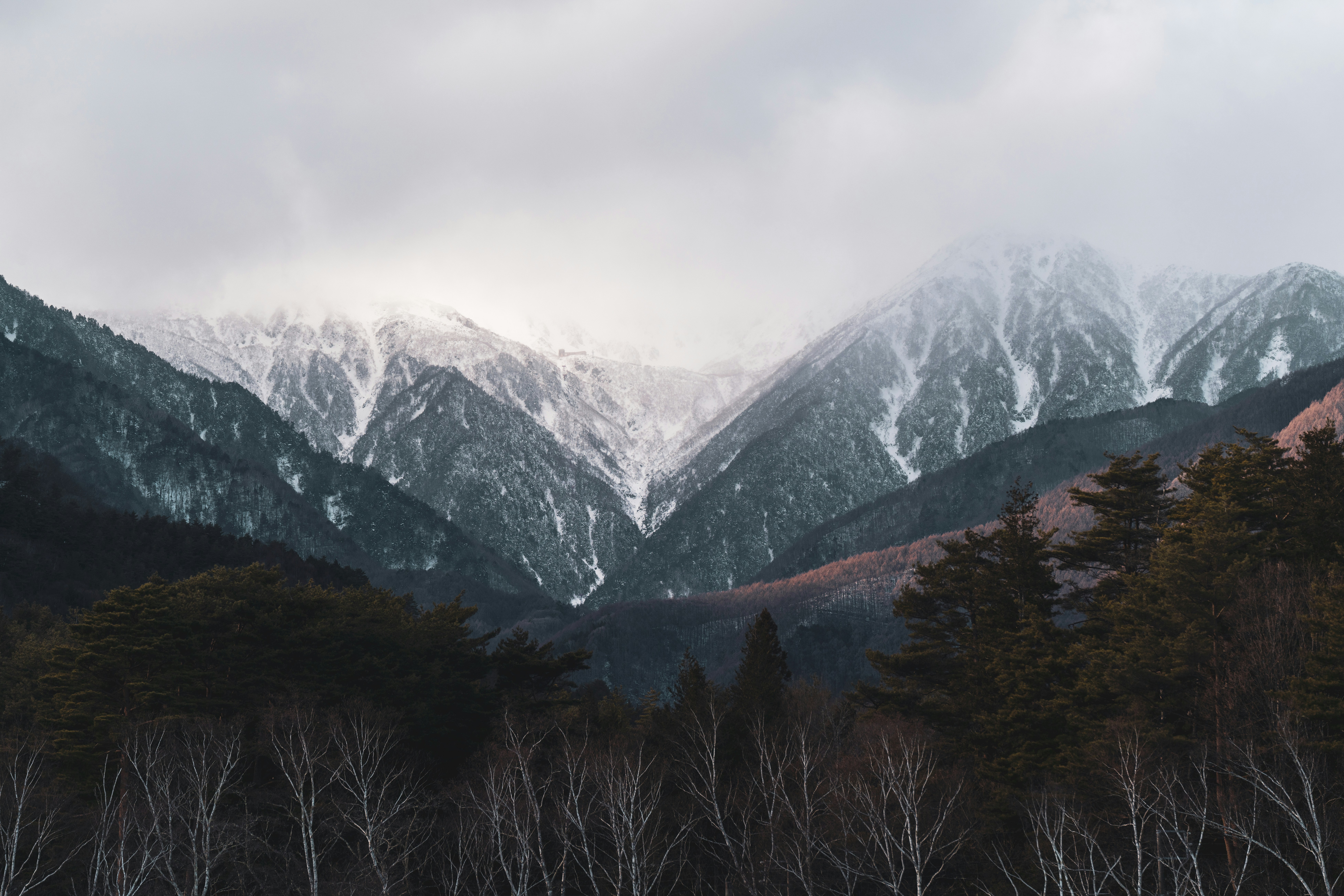 Snow-capped Peaks Framed by Bare Forest