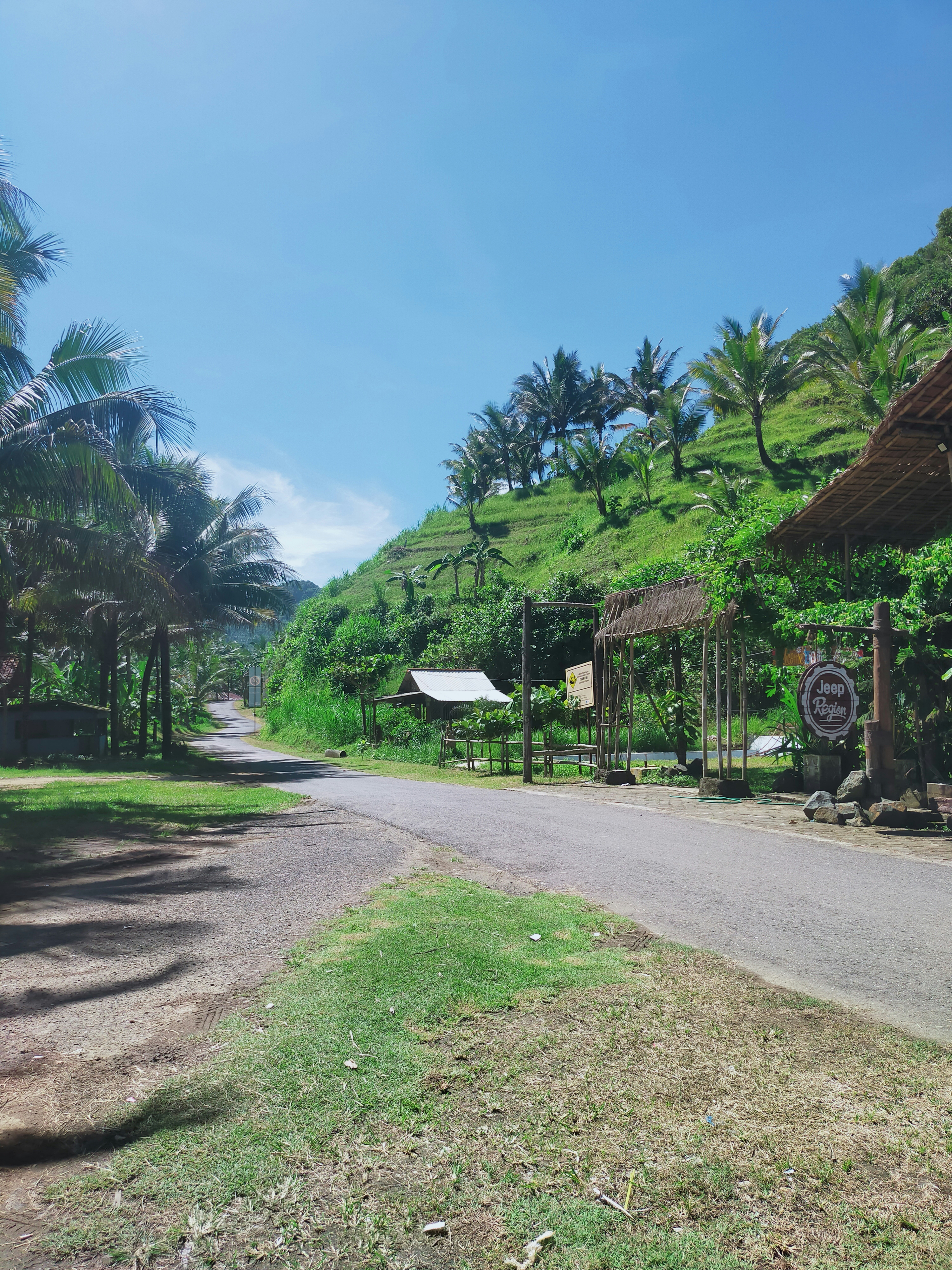 Sun-drenched tropical road winds between palm-fringed fields and low huts up a green hillside beneath a clear blue sky.
