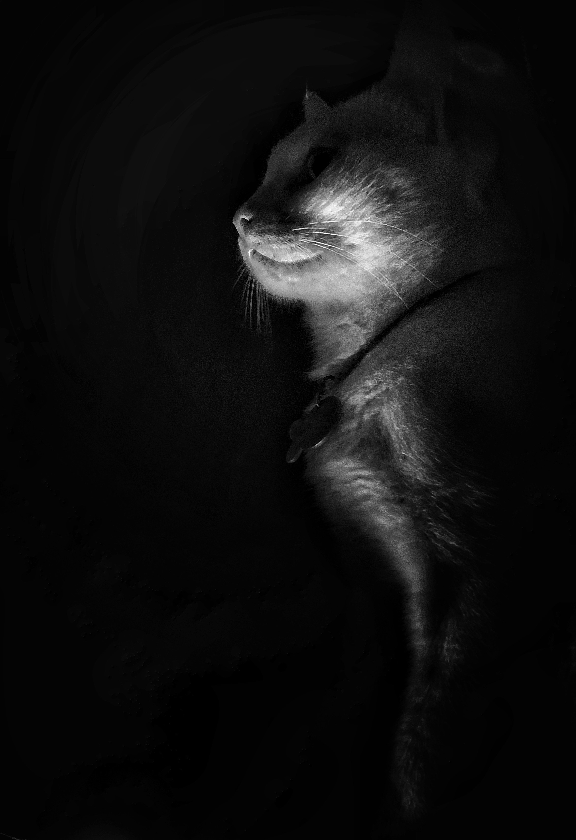 Photo by Dianne Cabahug with Apple iPhone XR