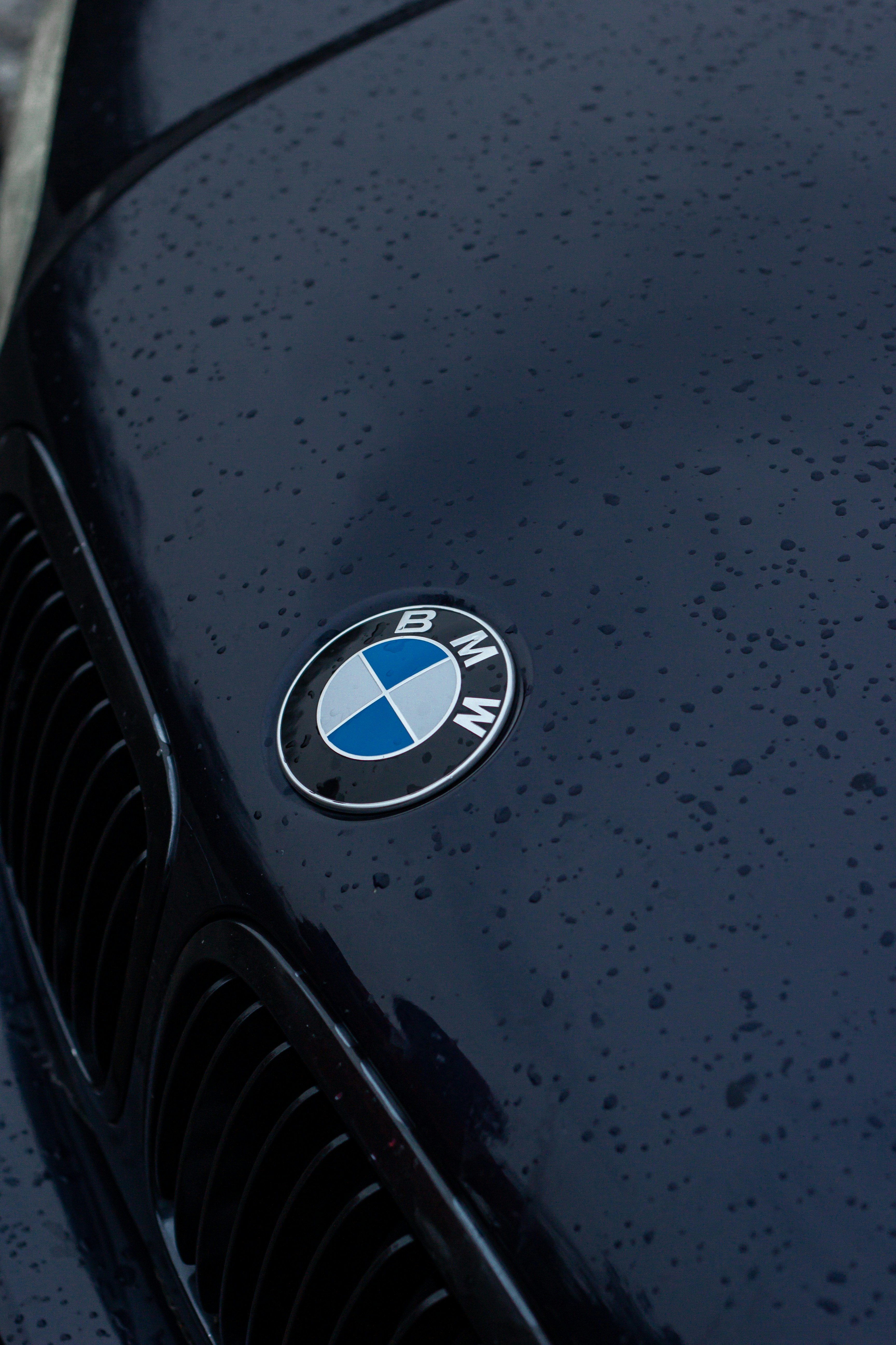A close up of a bmw emblem on a car photo – Free Bmw e46 Image on Unsplash