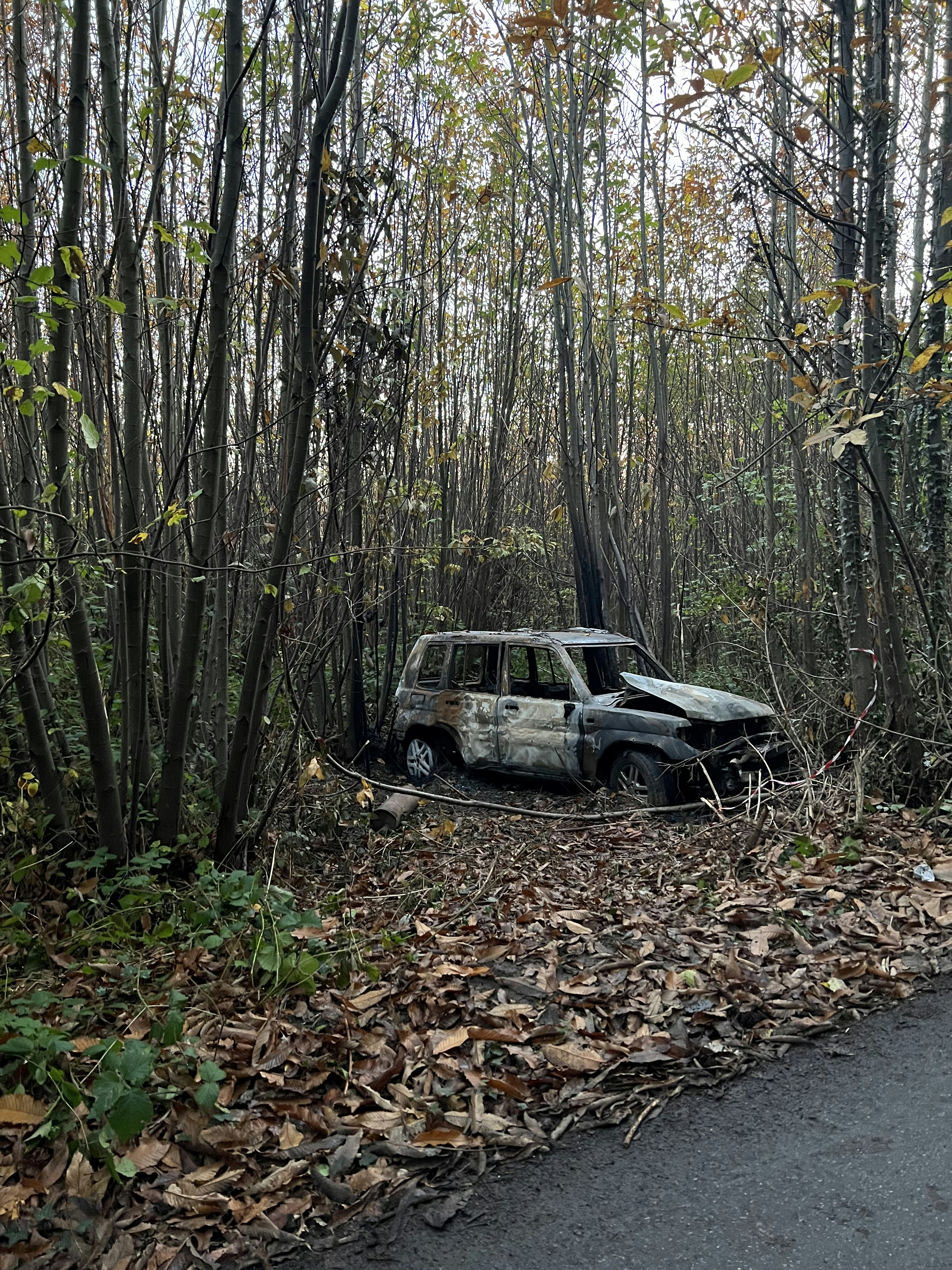 Forgotten Echoes of the Wilderness