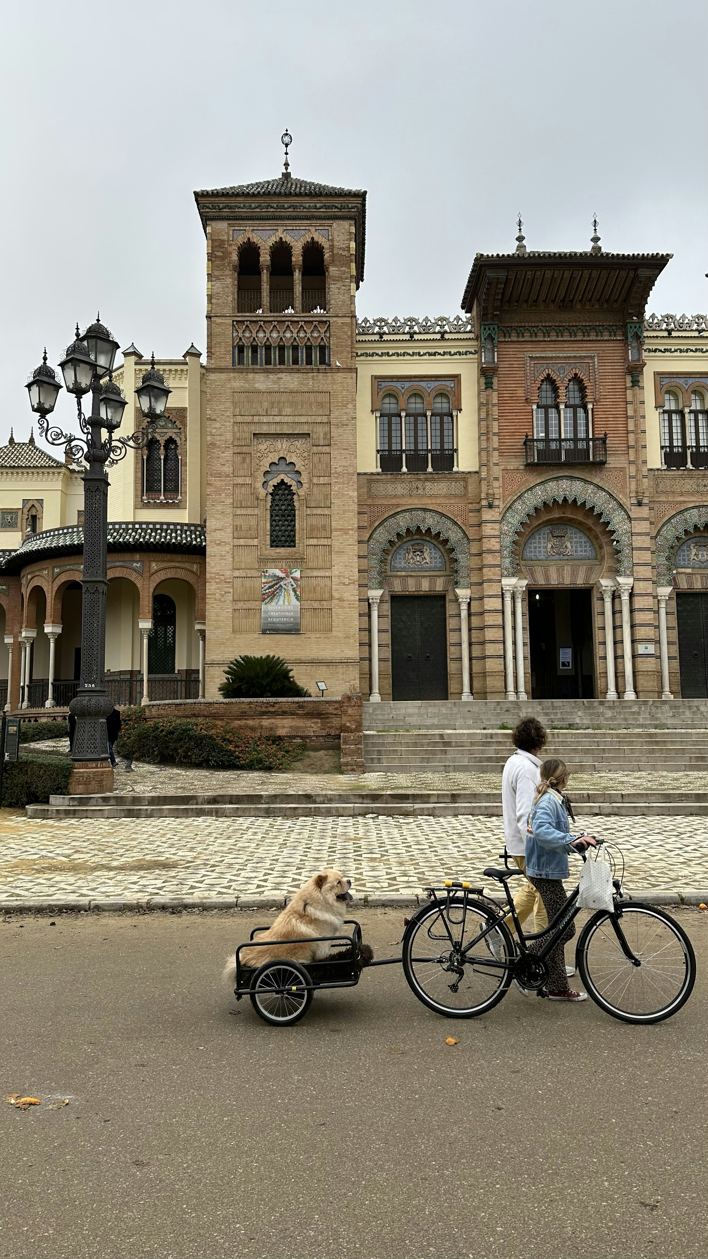 A person riding a bike with a dog in a cart photo – Free Image on Unsplash