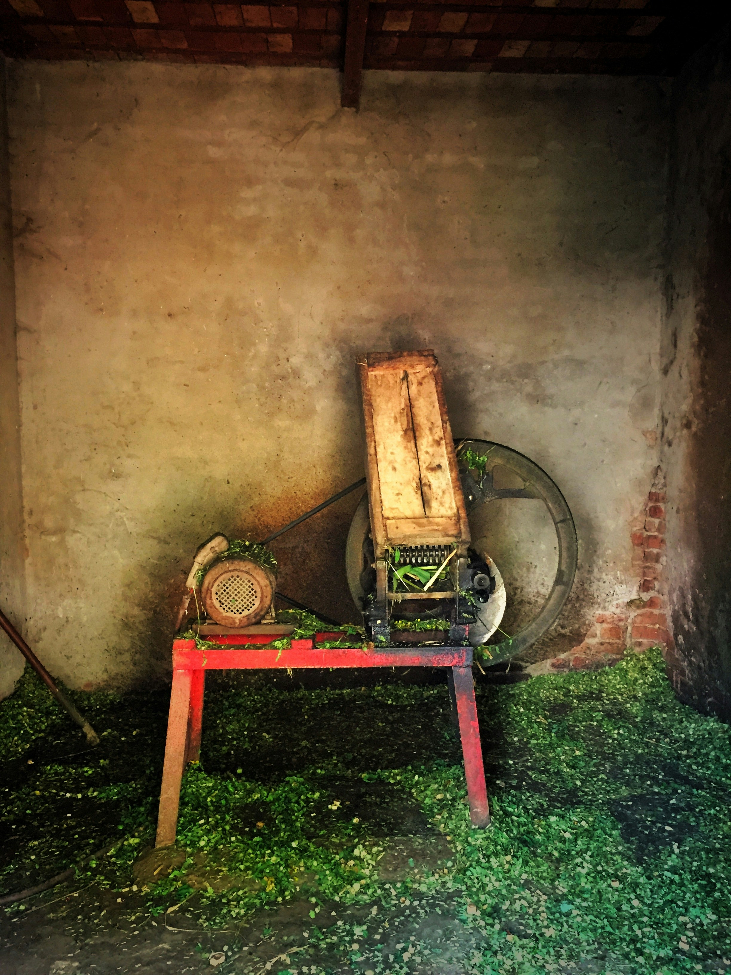 Moss-Covered Vintage Engine on a Red Workbench in an Abandoned Workshop