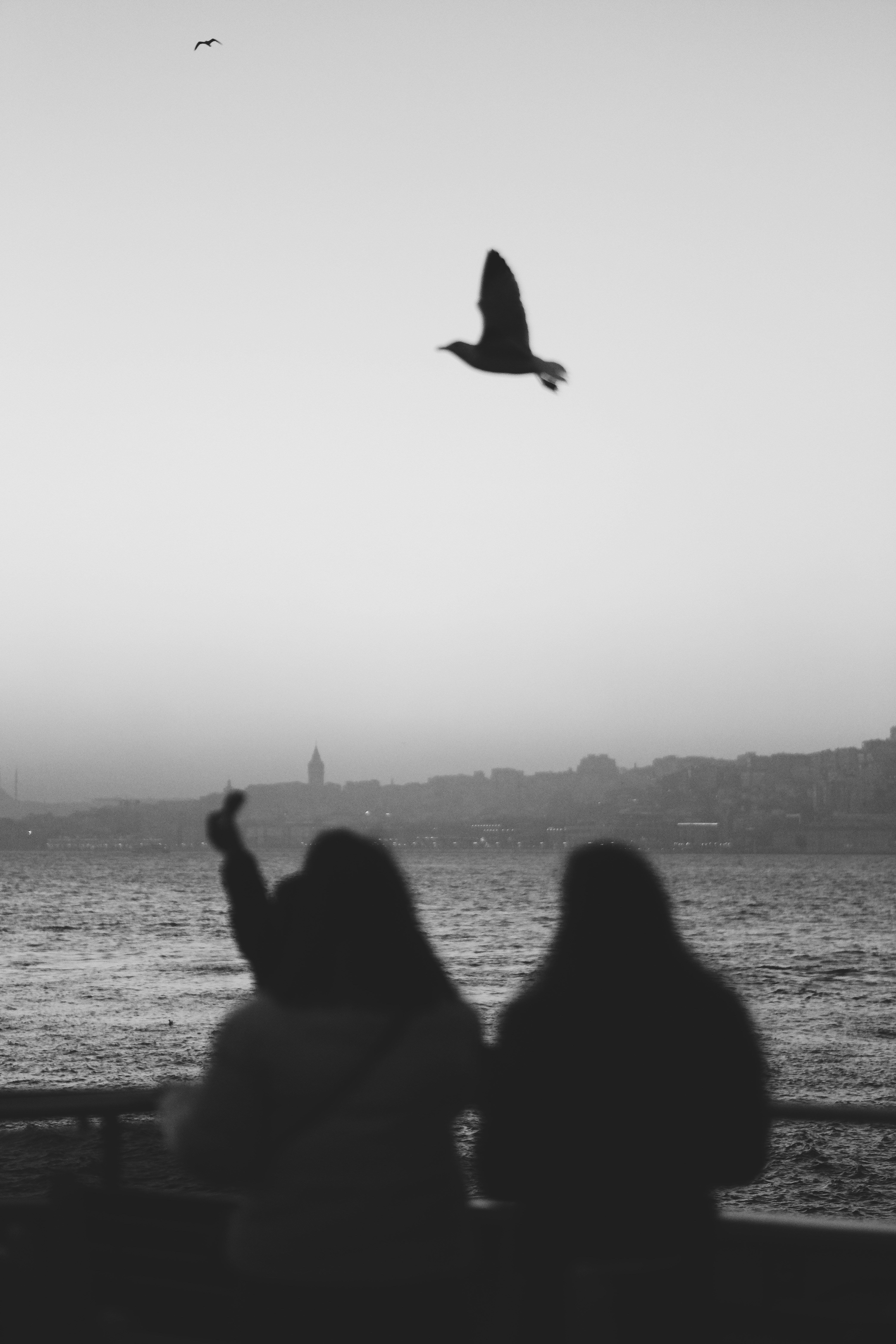 Wingbeat Over the Pier: Silhouettes and a Seagull Against a Distant City