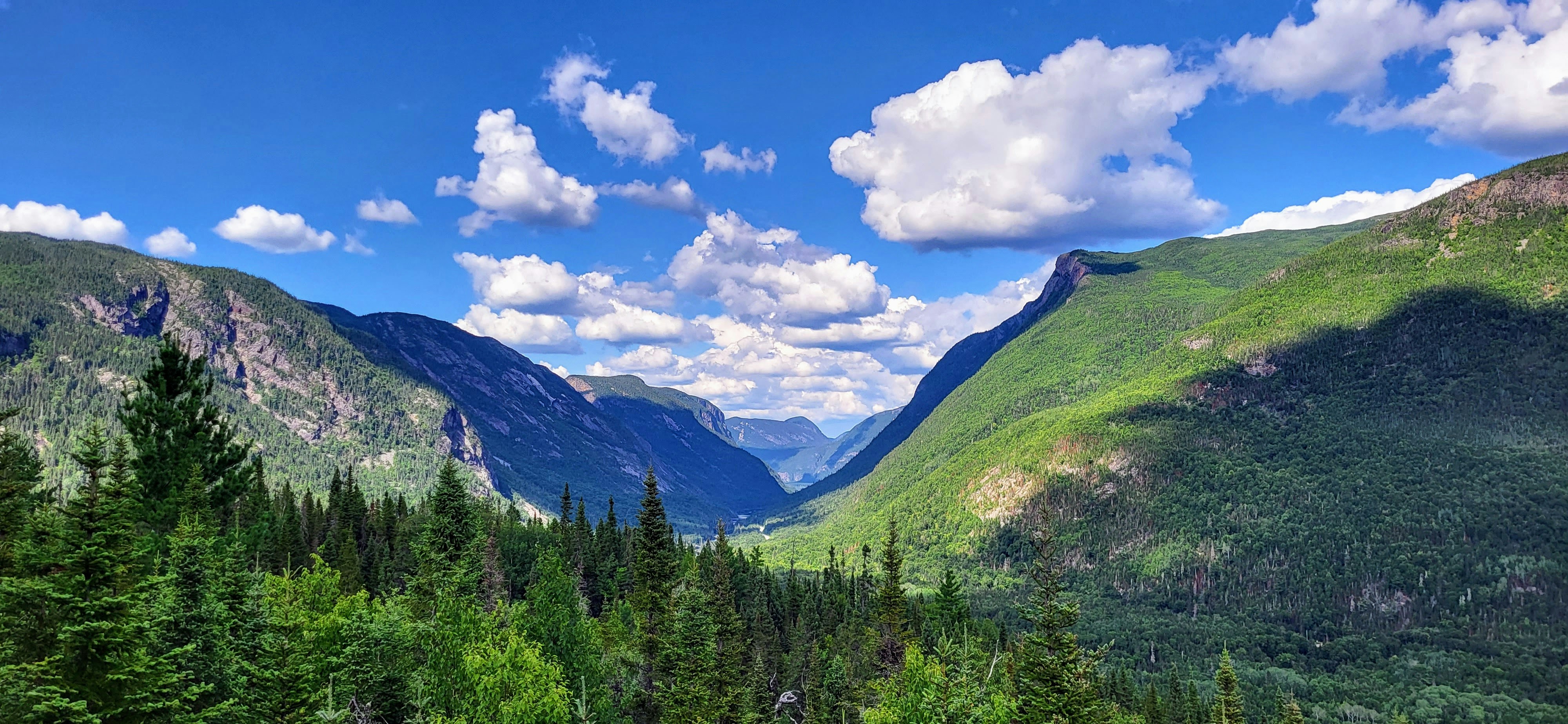 Lush alpine valley framed by evergreen forests and towering peaks beneath a cloud-dotted sky.