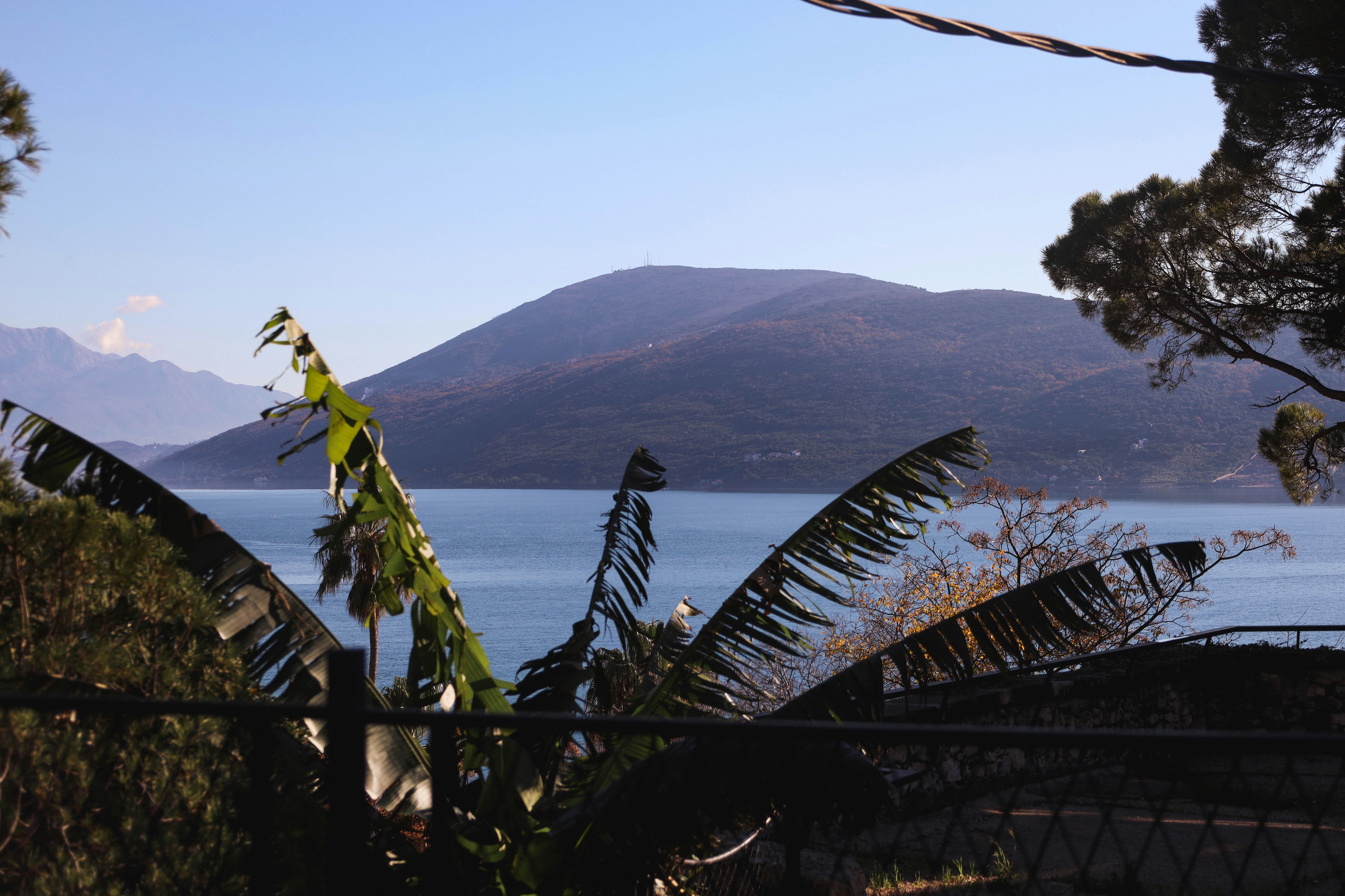 Photo by Phillip Wang with Canon EOS R