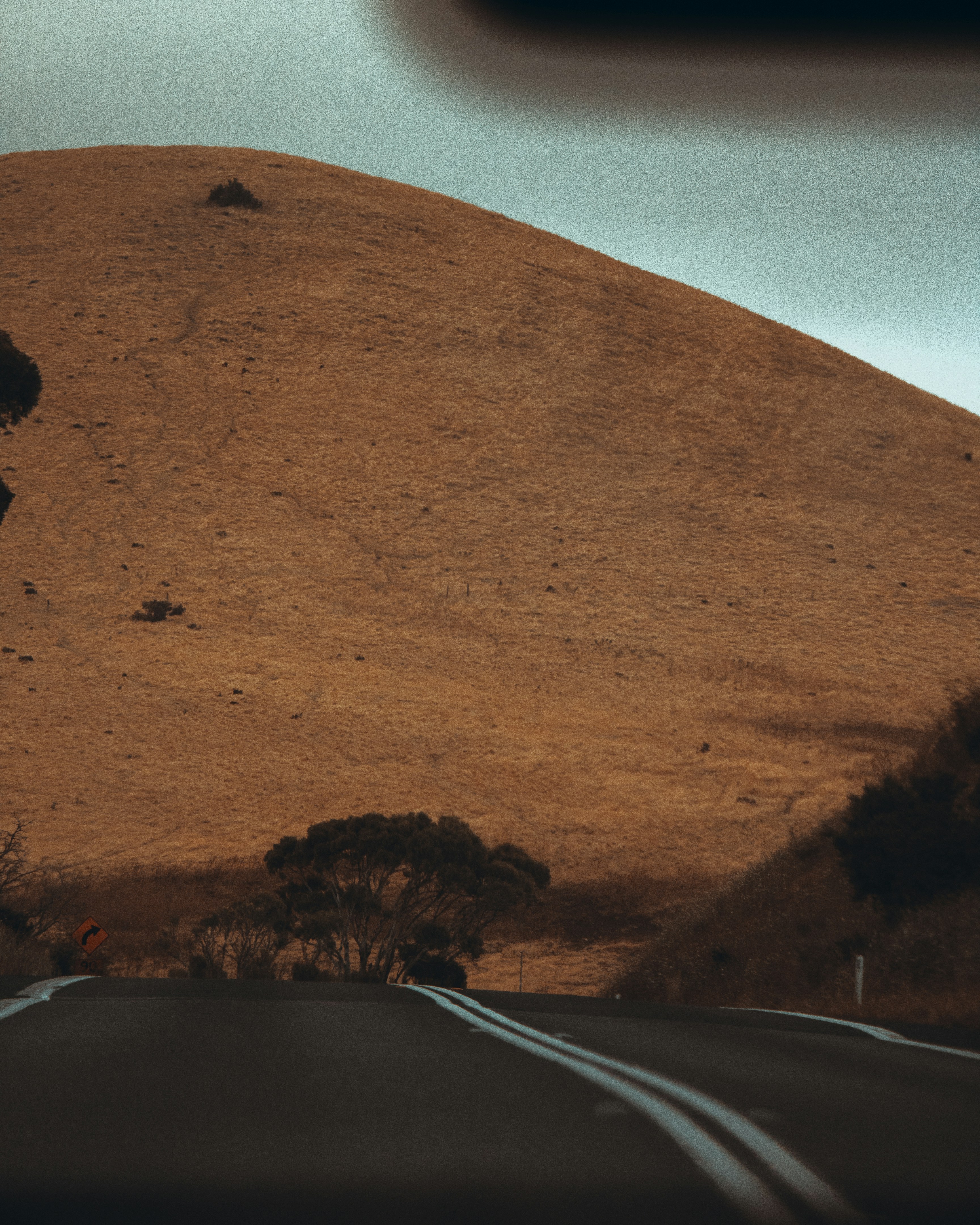 Crestbound Road: A Quiet Descent Across a Sunlit Hill