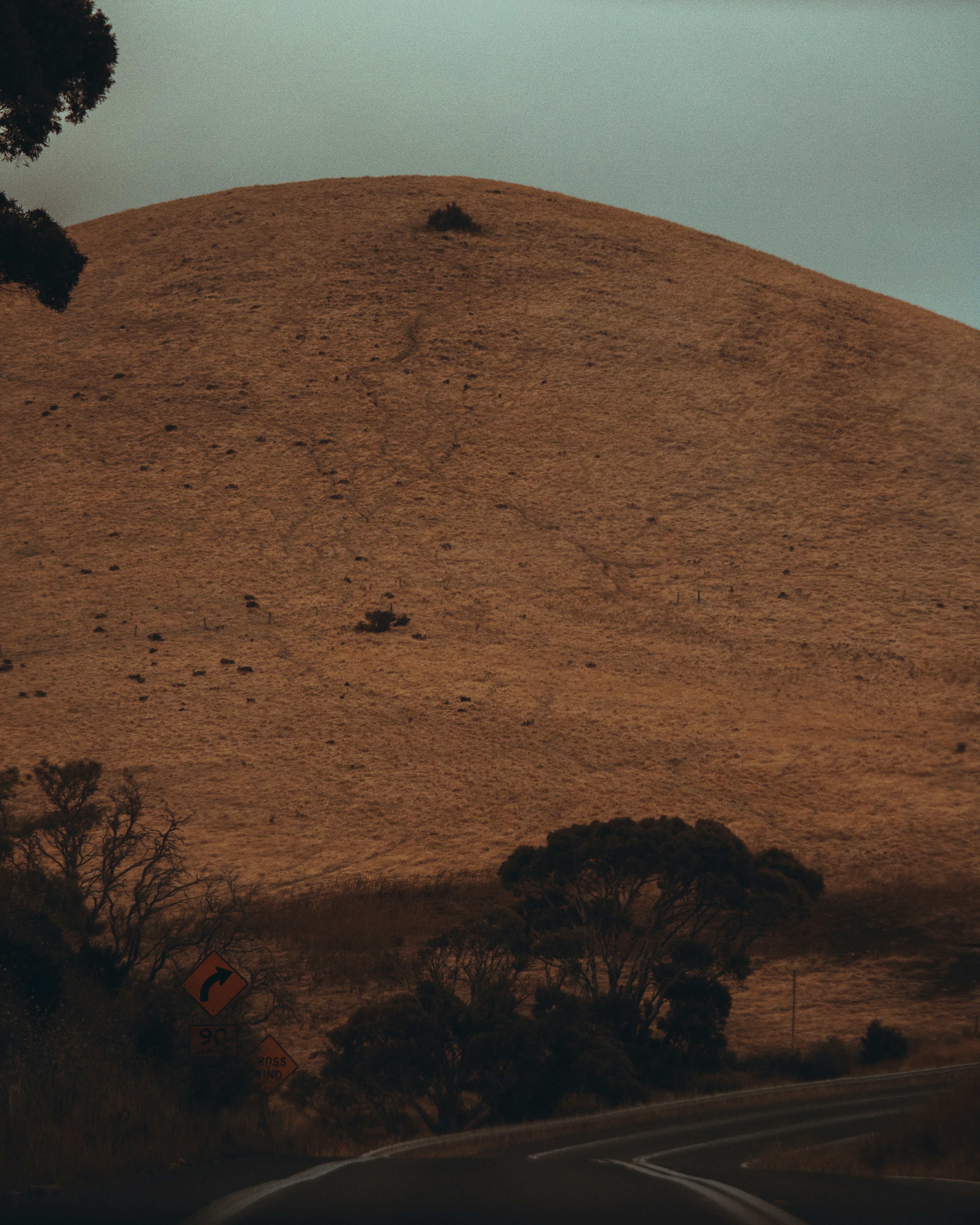 a hill with trees on the side of it
