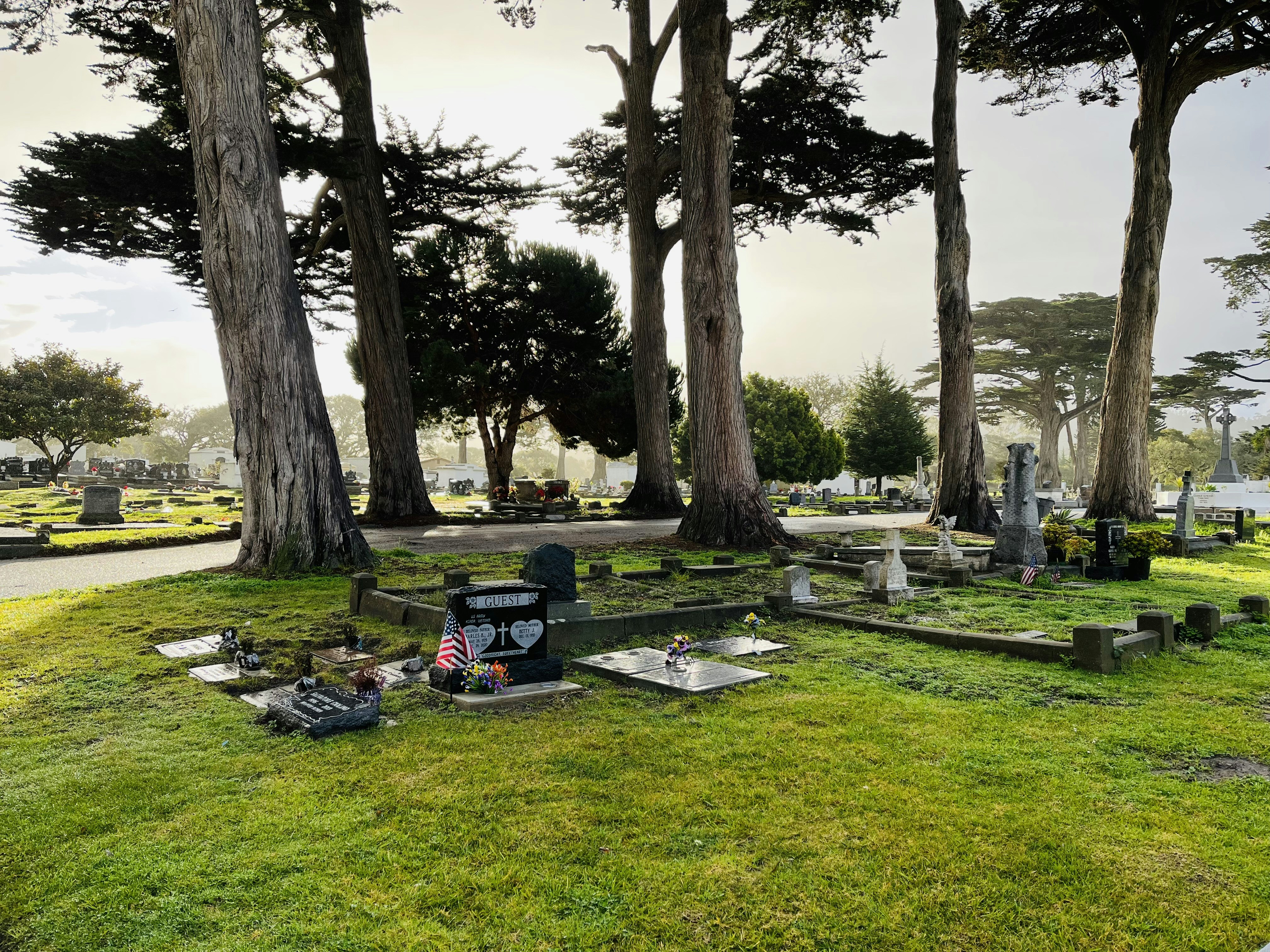 A cemetery with lots of graves and trees photo – Free Car Image on Unsplash