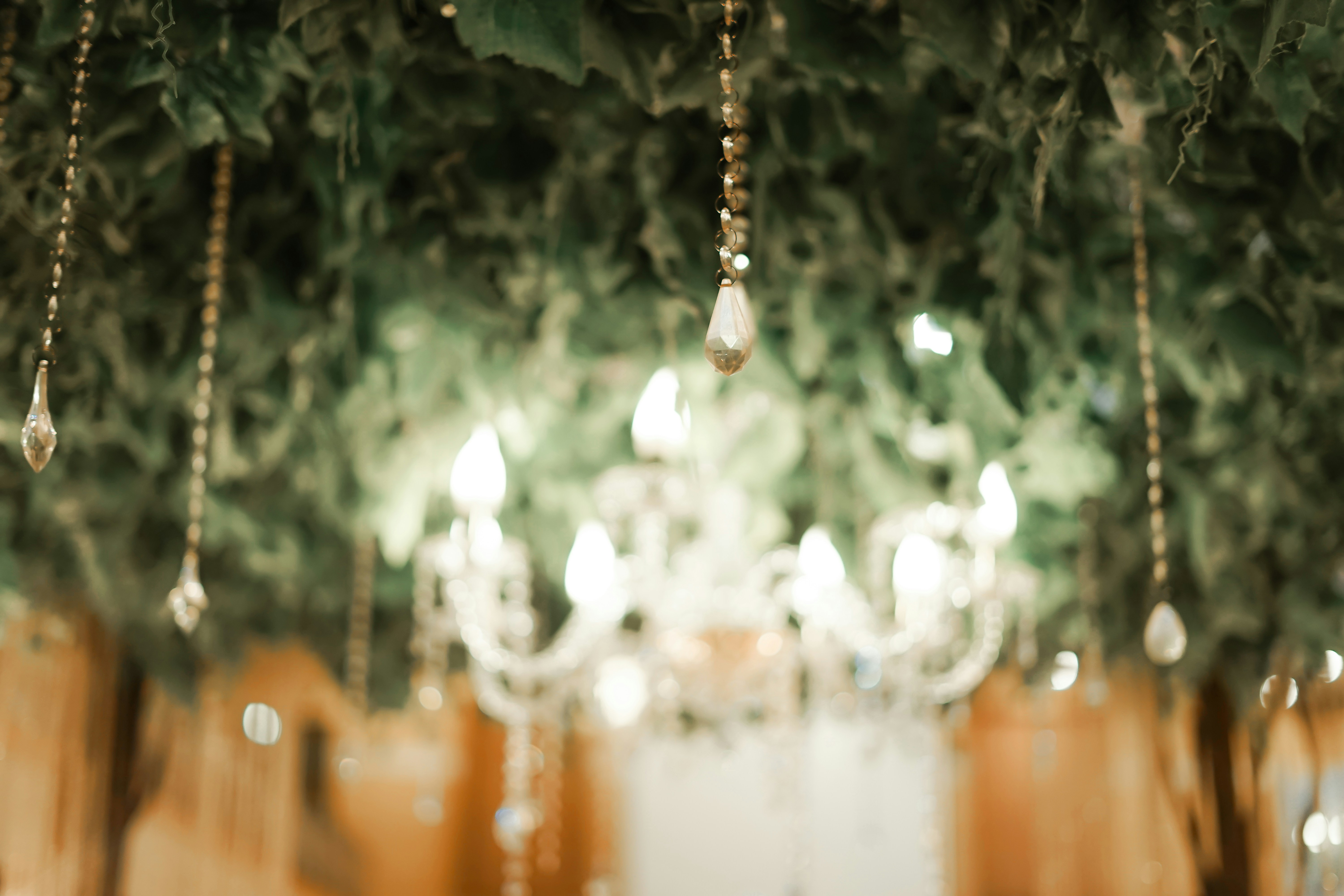 Emerald Canopy Framing Crystal Drops Under a Dreamy Chandelier