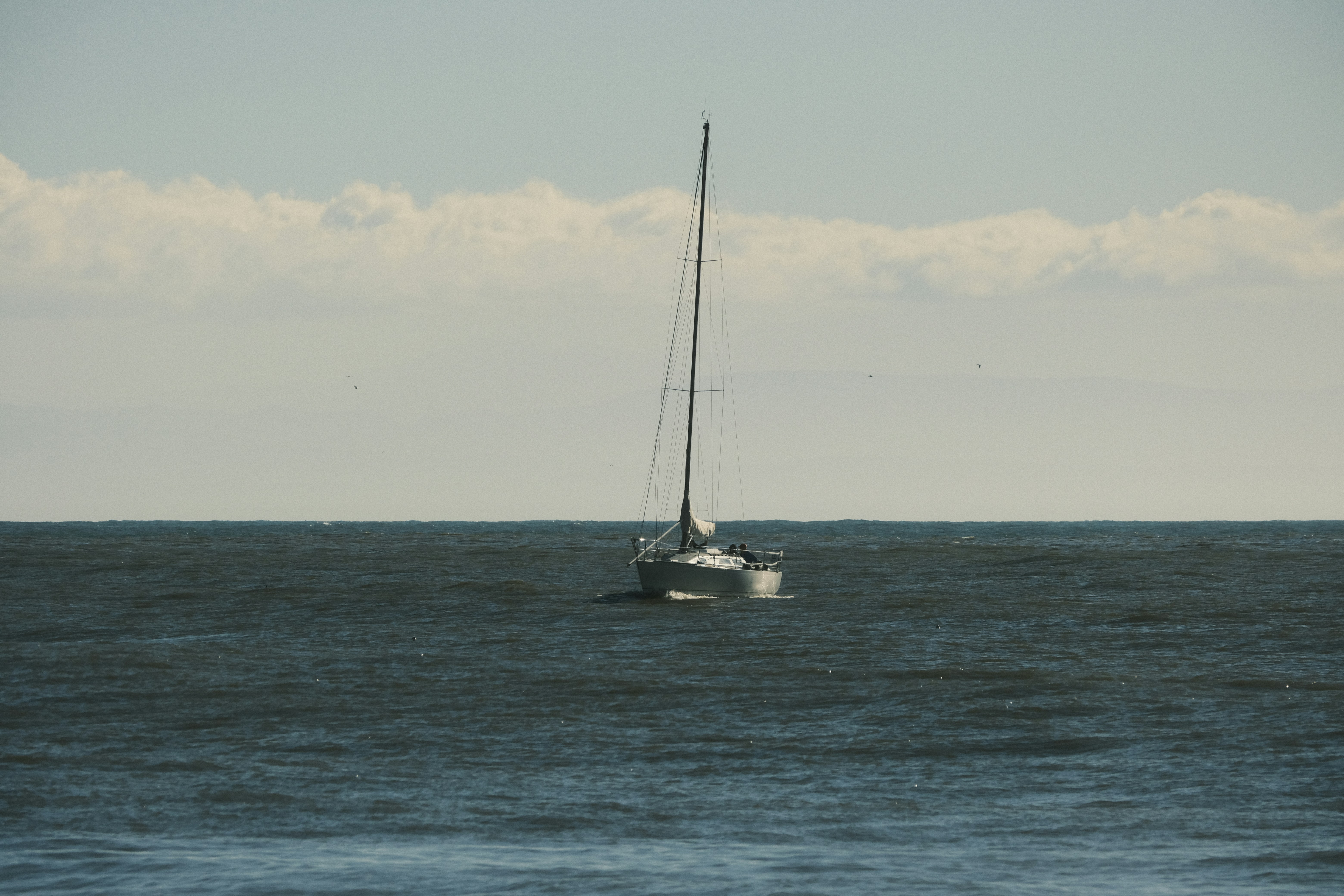 Photo by Chandler Aitchison with Fujifilm X-T4