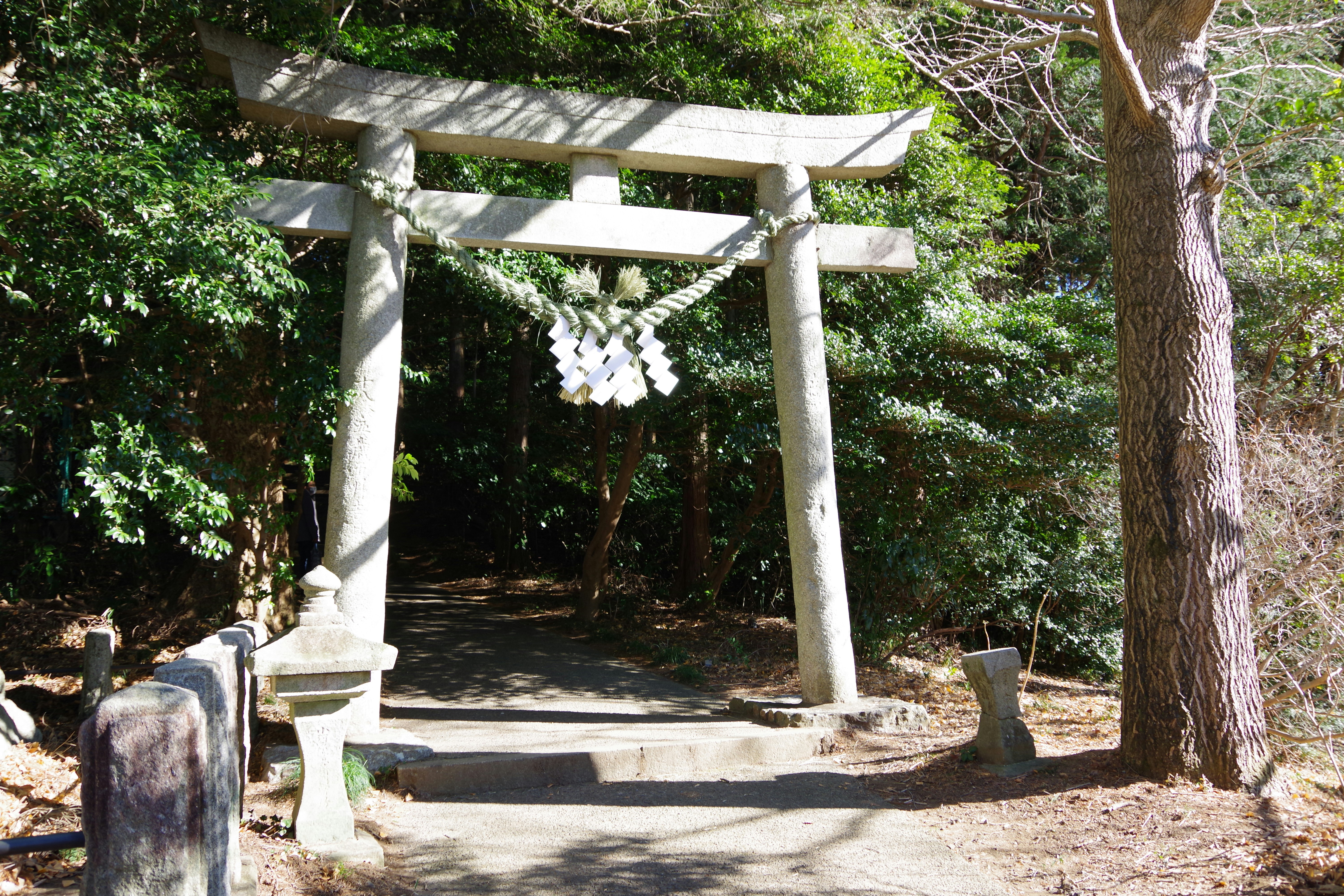 a wooden structure with a basketball hoop hanging from it