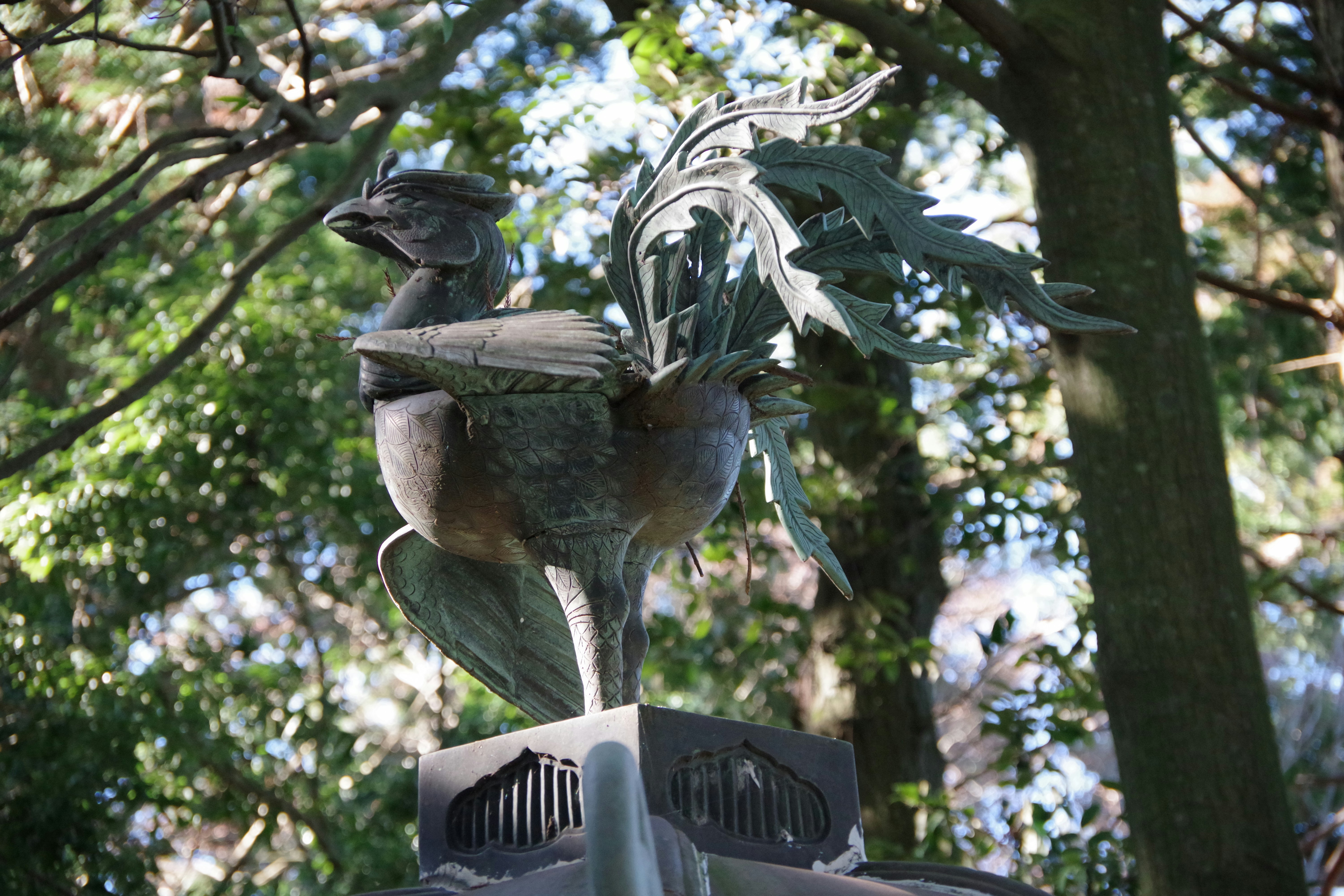 Rooster of Steel: A Park Guardian in Dappled Light