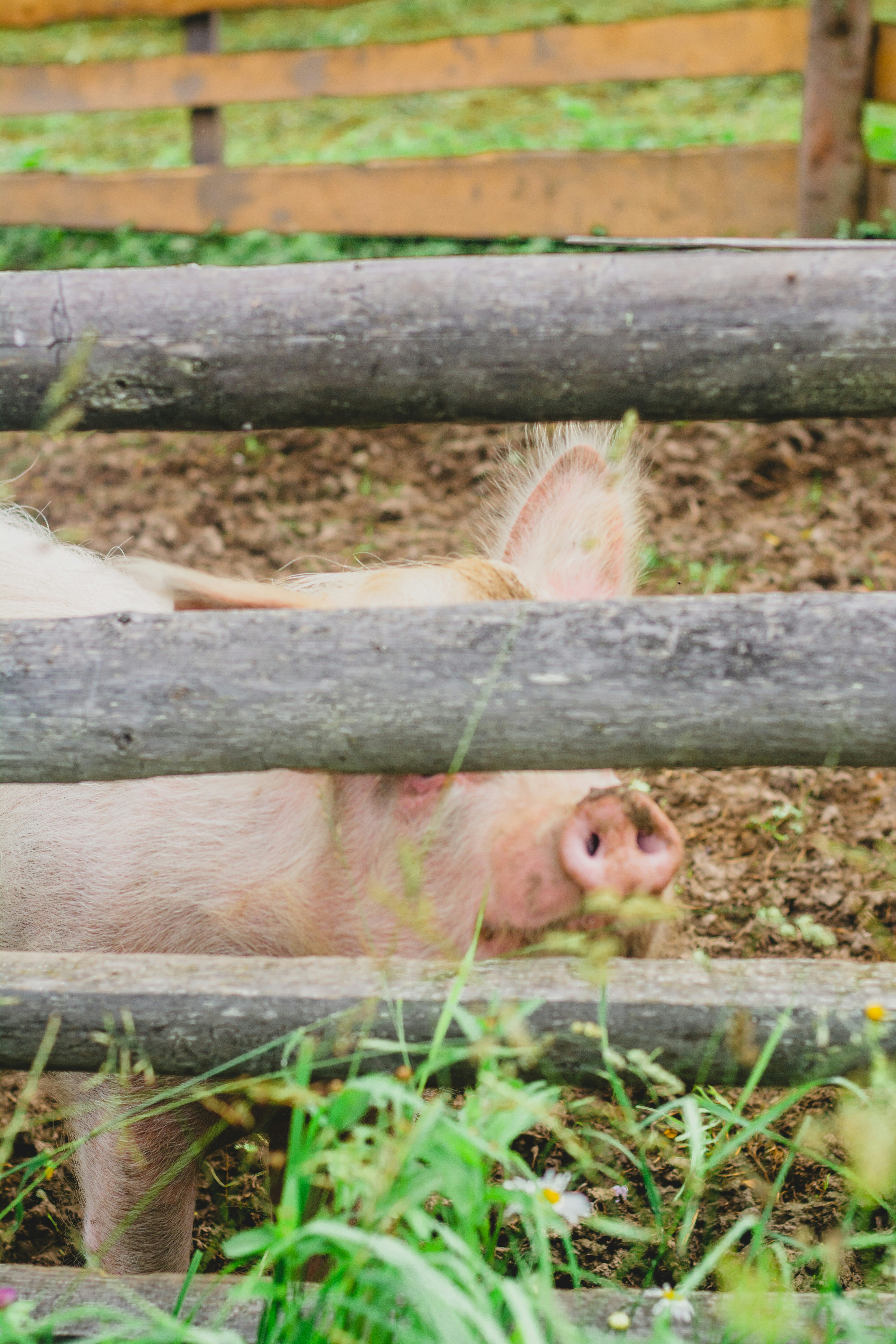 Photo by Eugenia Pan'kiv with Nikon D7100