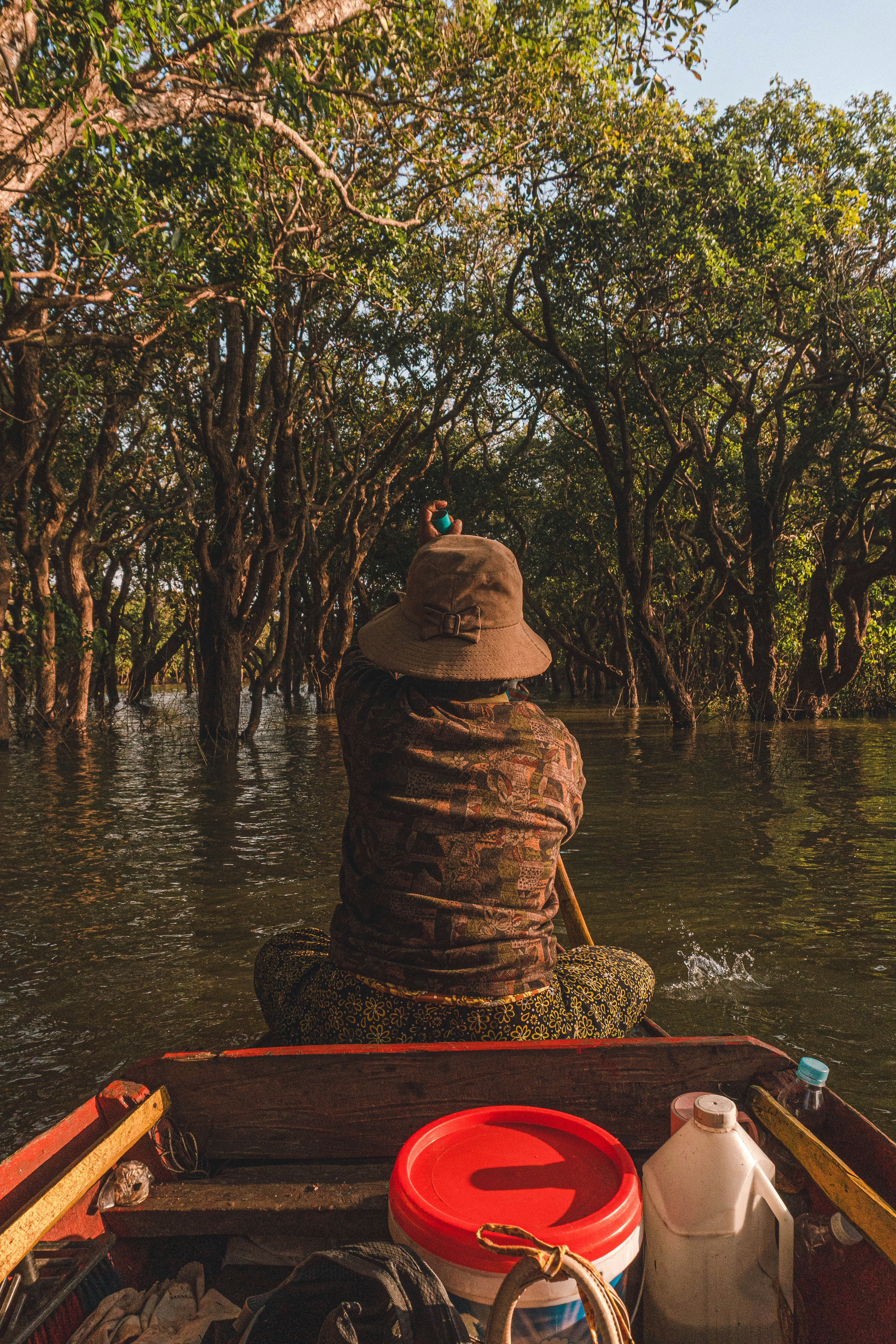 A lone paddler navigates through a serene mangrove forest, surrounded by towering trees and reflective waters.