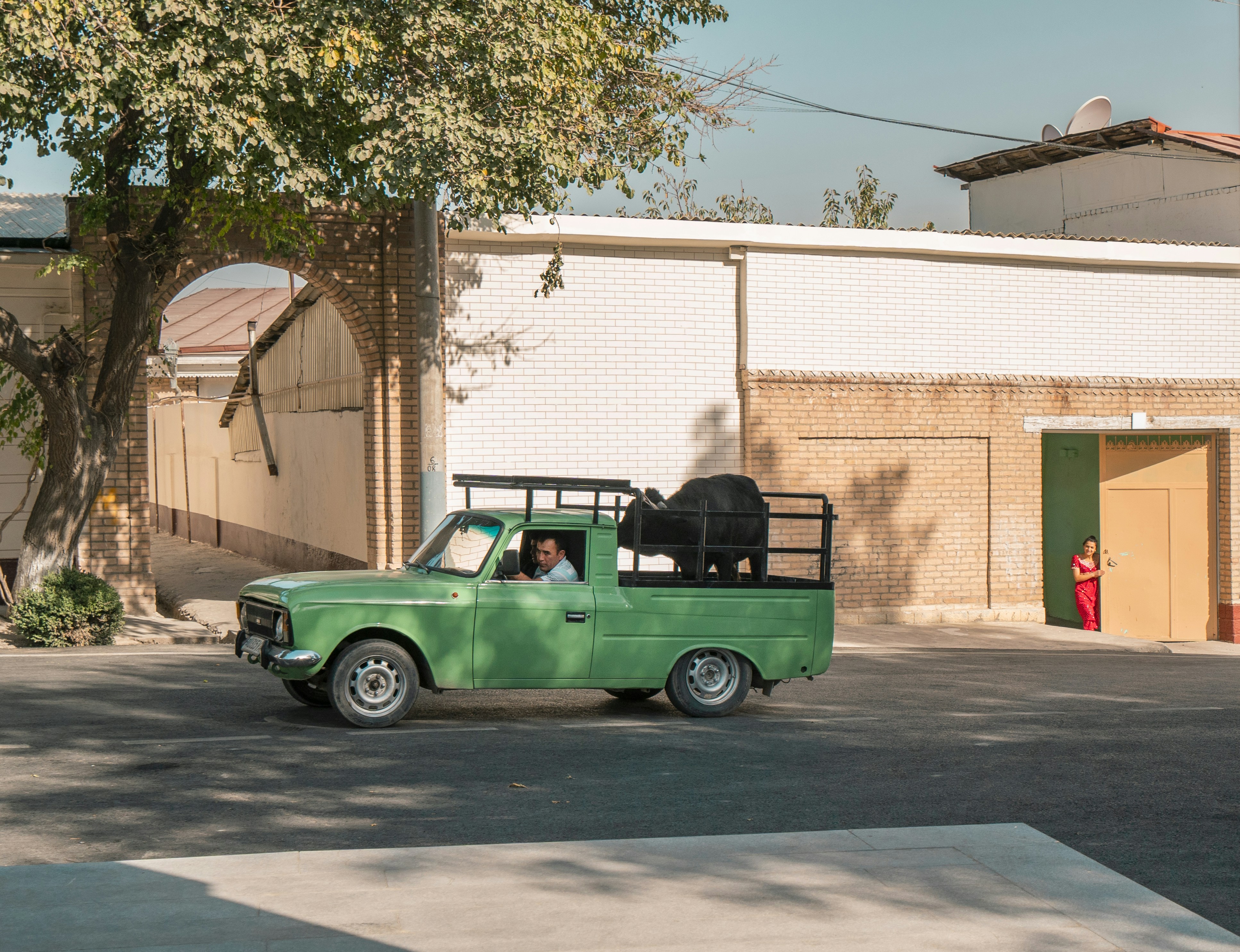 Photo by Evgeny Matveev with Sony Alpha 7 IV