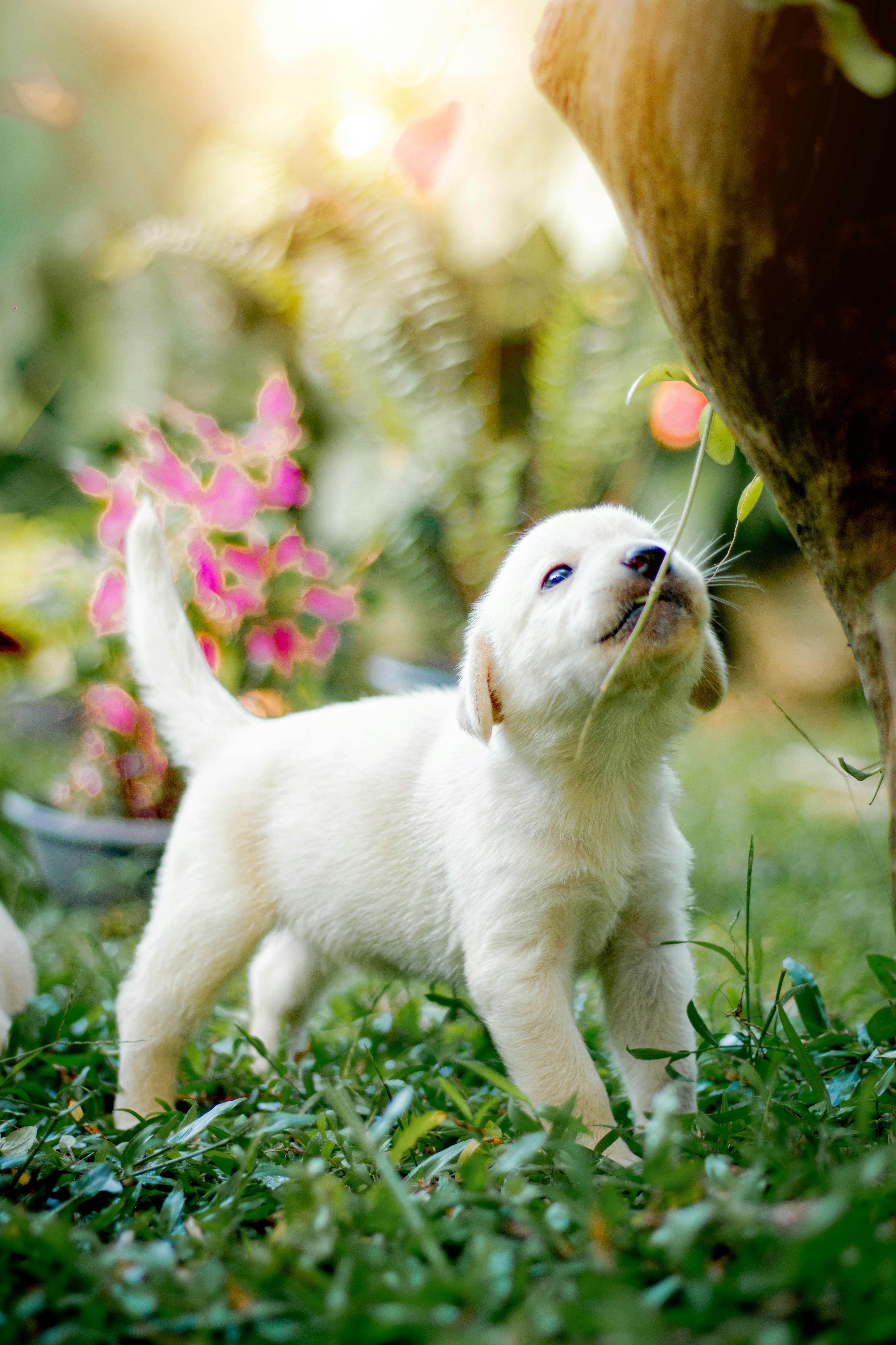 Photo by Chathura Anuradha Subasinghe with Canon EOS 70D