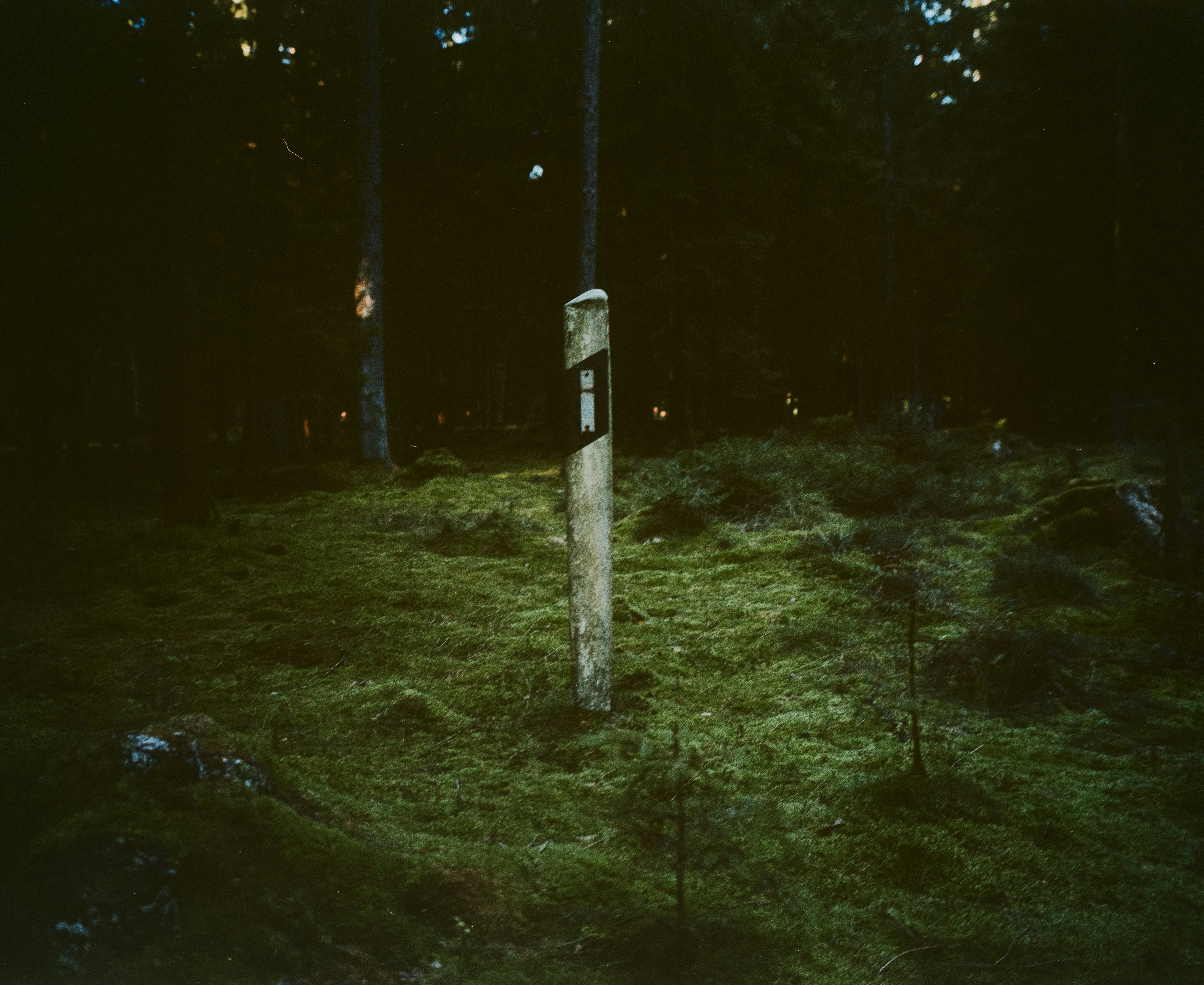 there is a sign in the middle of the woods