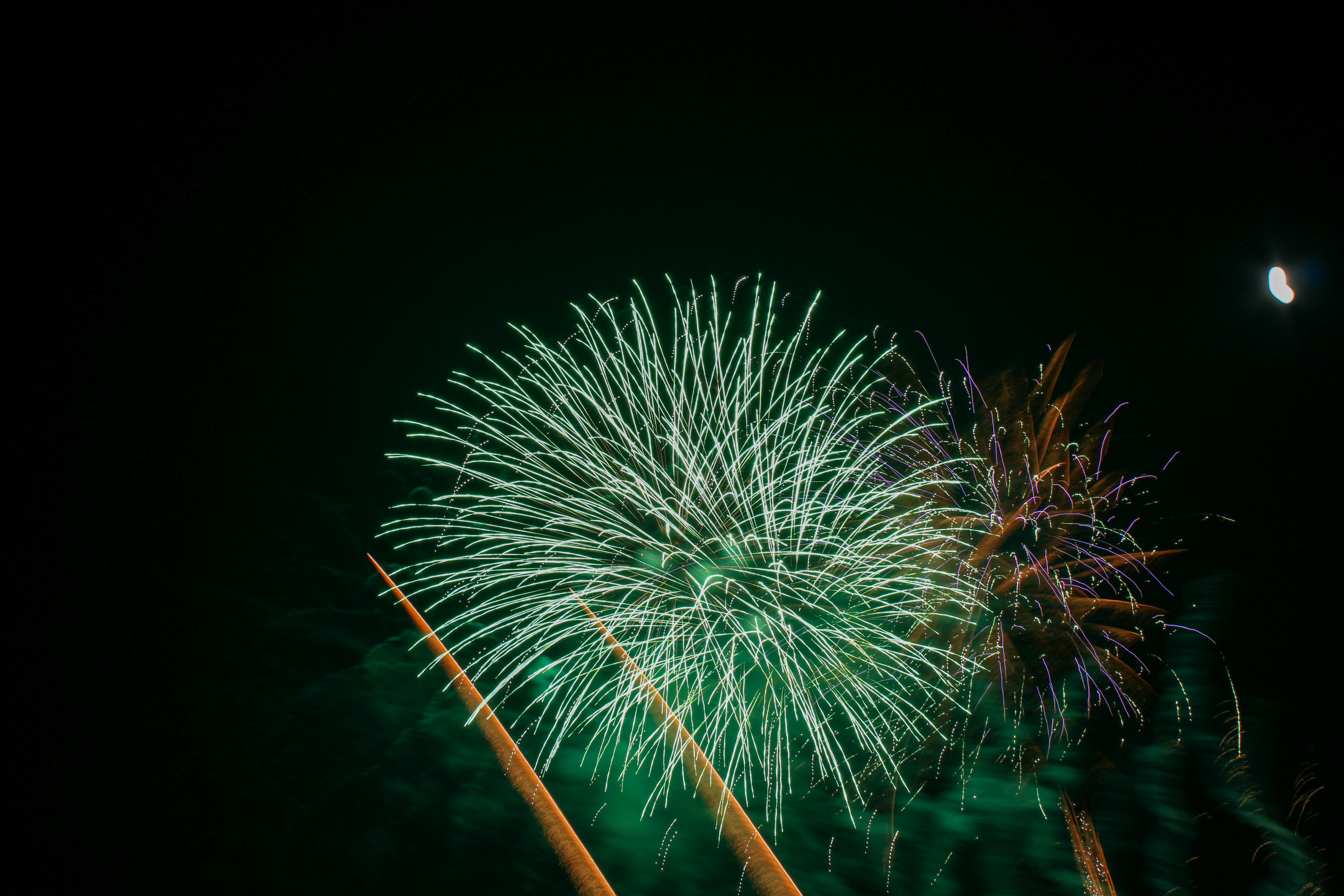 A green and white firework in the night sky photo – Free Fireworks ...