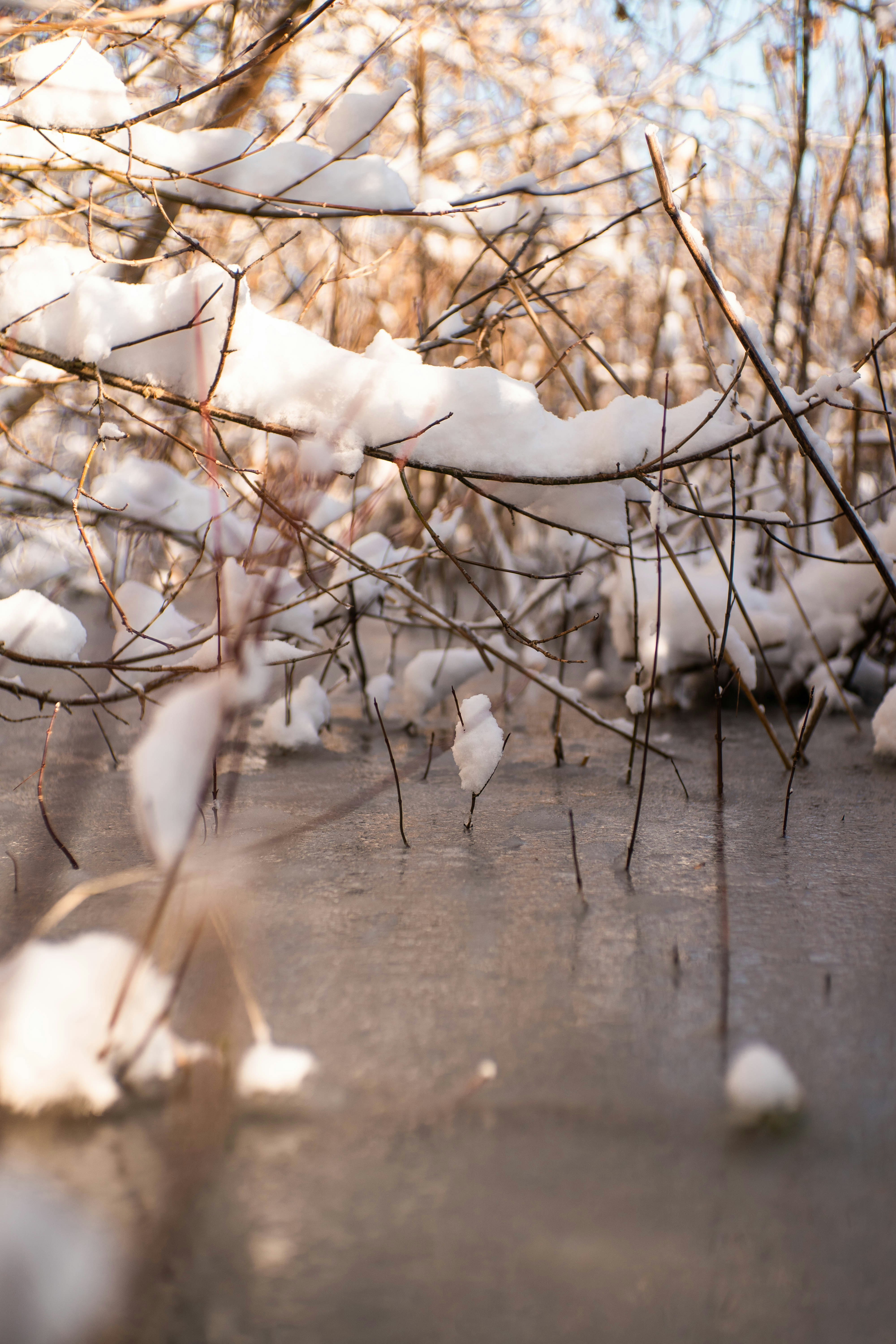 A bunch of snow that is on the ground photo – Free Nature Image on Unsplash