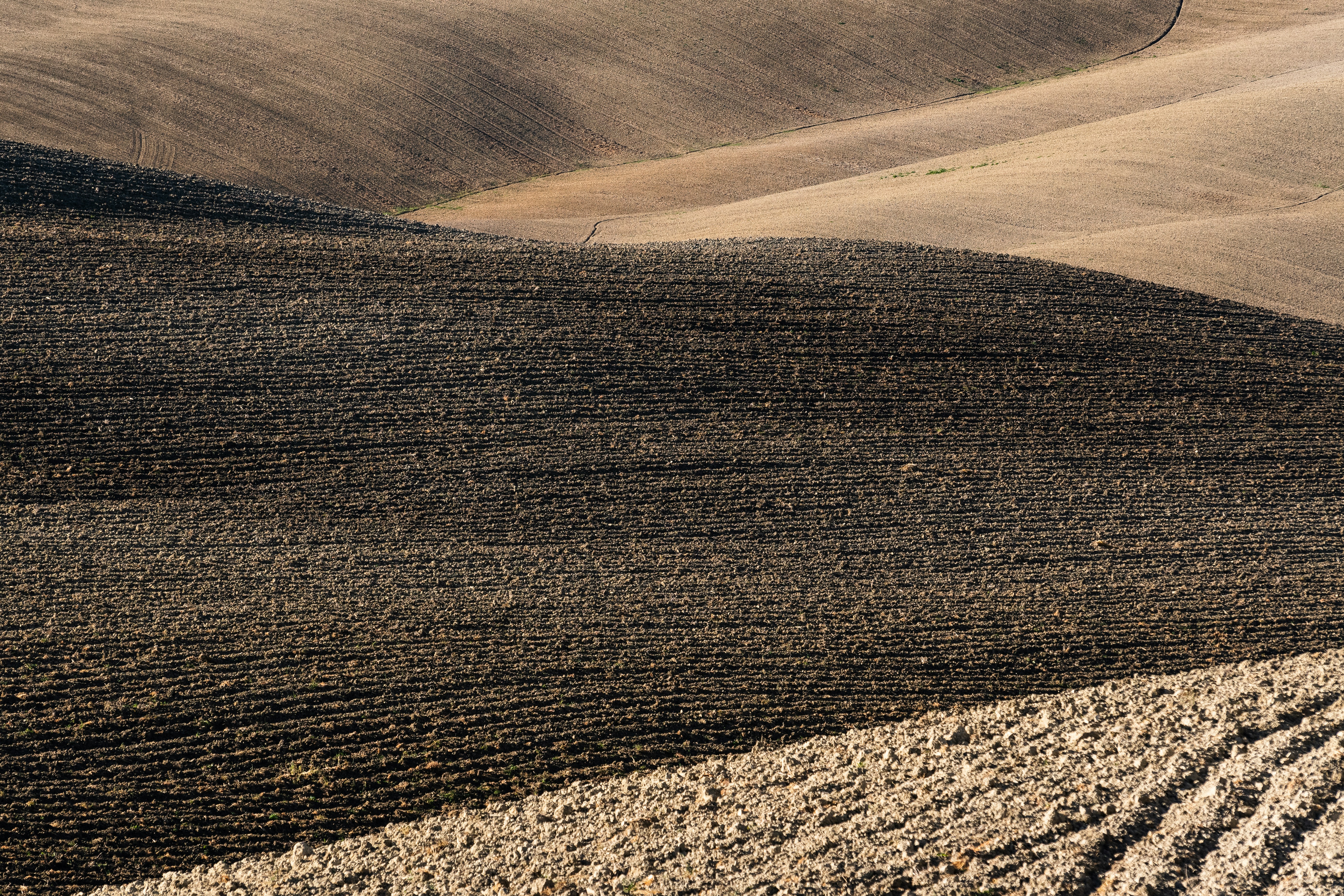 A plowed field with a lone tree in the distance photo – Free Val d ...
