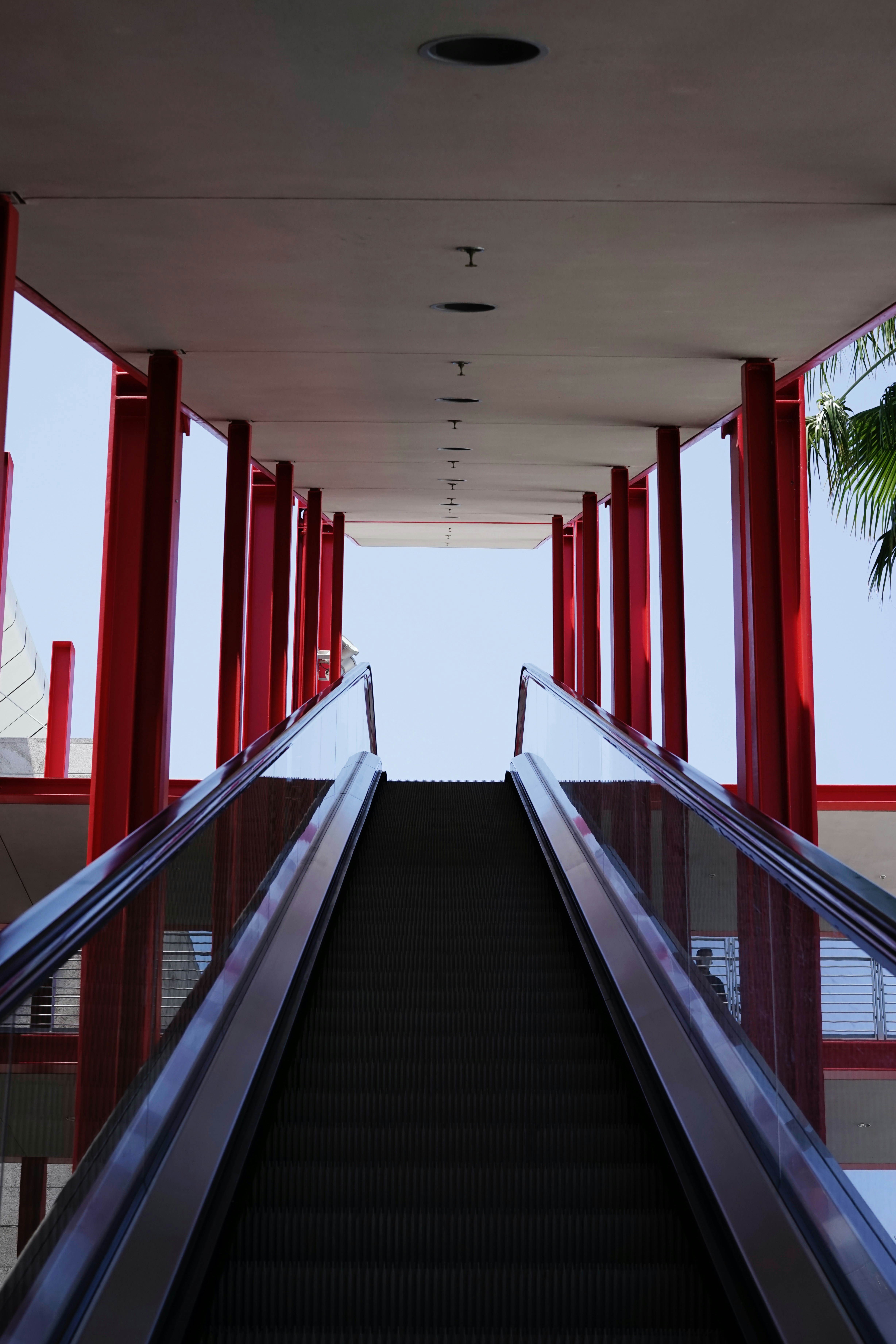 Un escalator avec un palmier en arrière-plan photo – Photo Musée d’art du comté de Los Angeles ...
